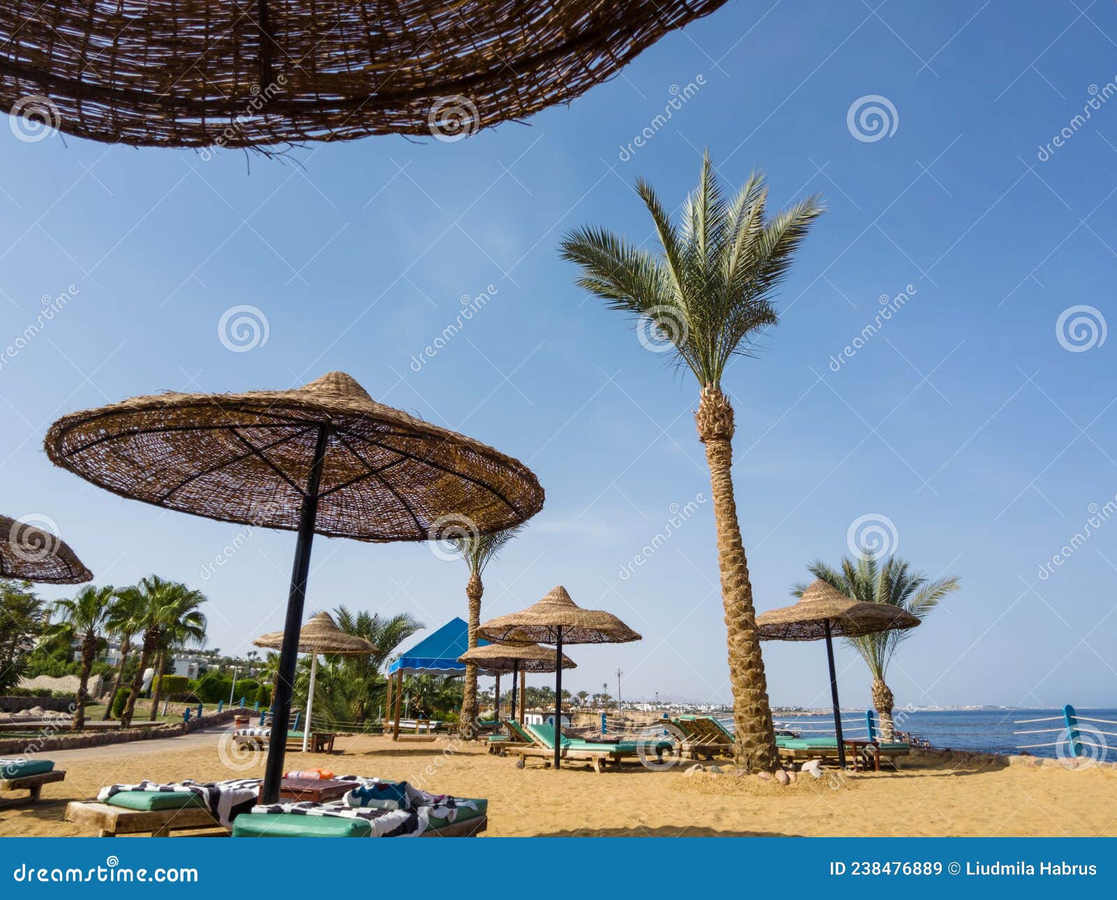 View of the Beach and the Red Sea Stock Image - Image of egypt, sheikh ...