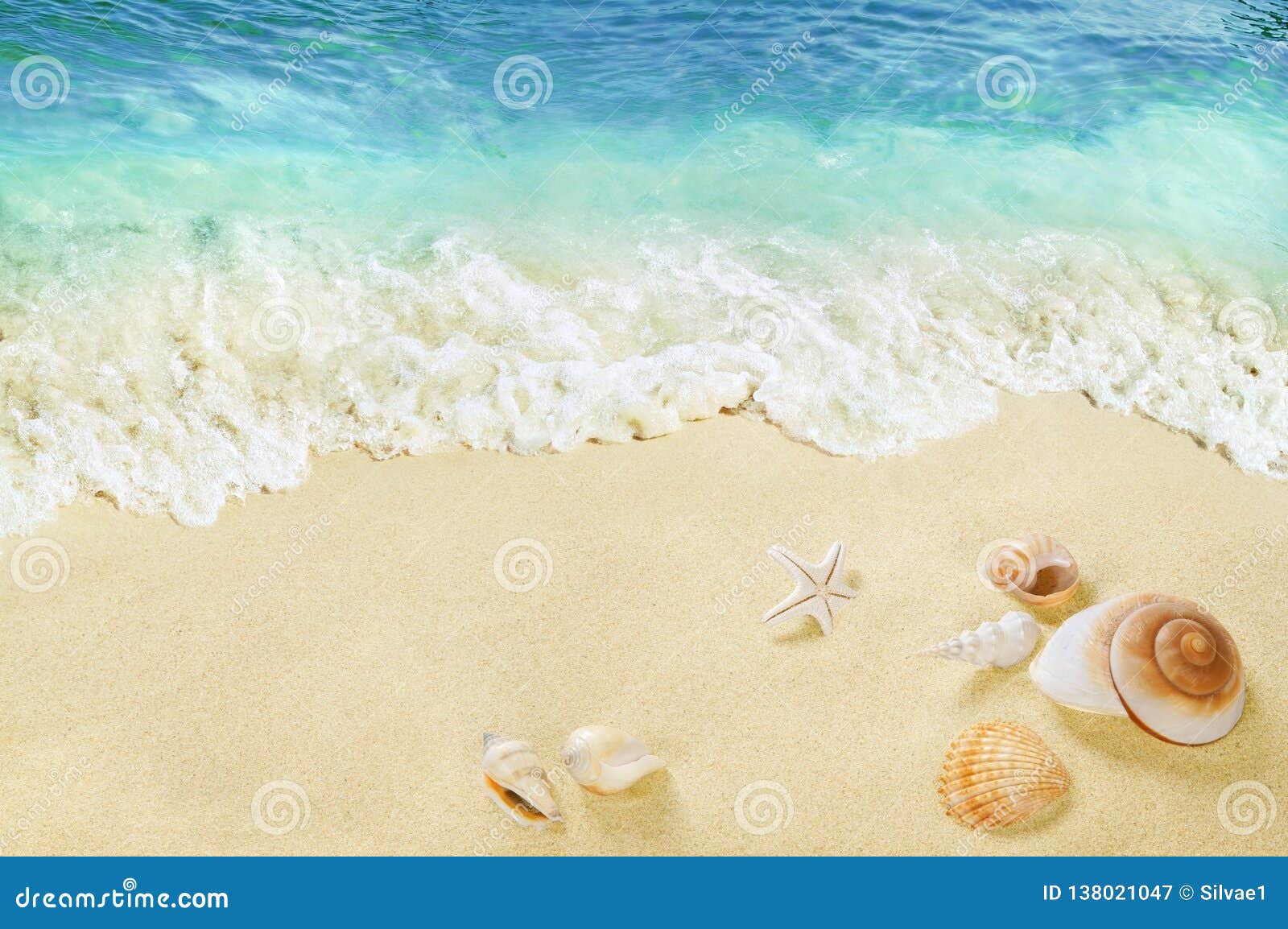 View of the Beach with Shells in the Sand. Stock Image - Image of ...