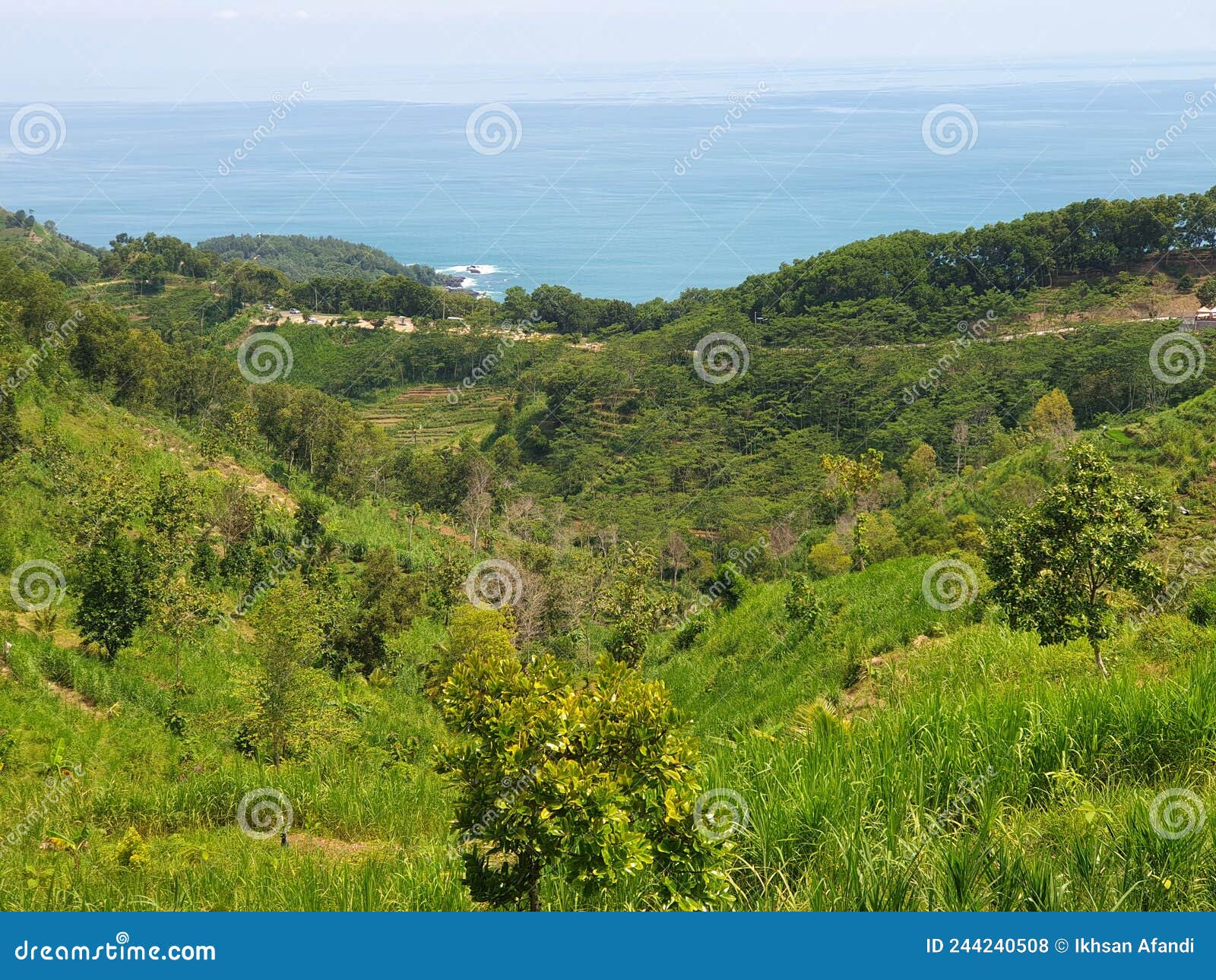 View of the Beach from the Top of the Hill Stock Photo - Image of ...