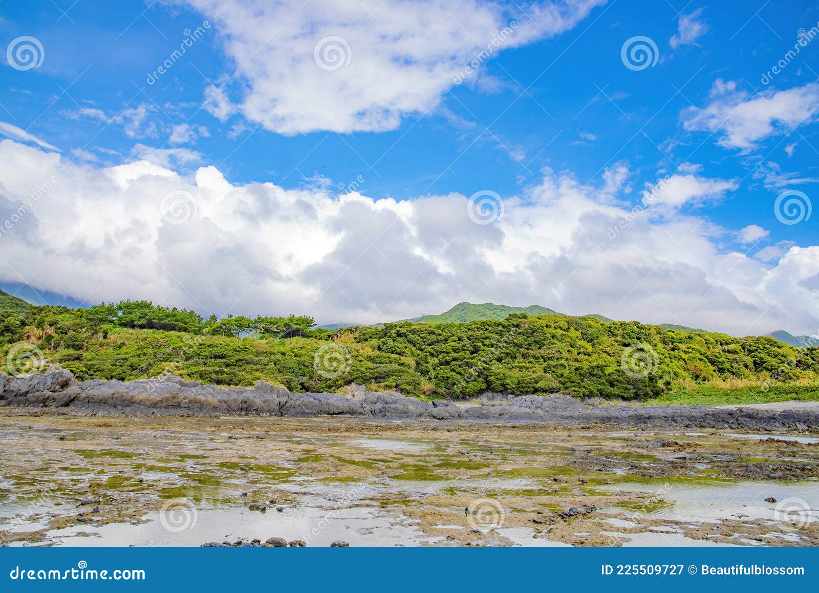 View of Beautiful Beach in Yakushima Island, Kagoshima Japan Stock ...
