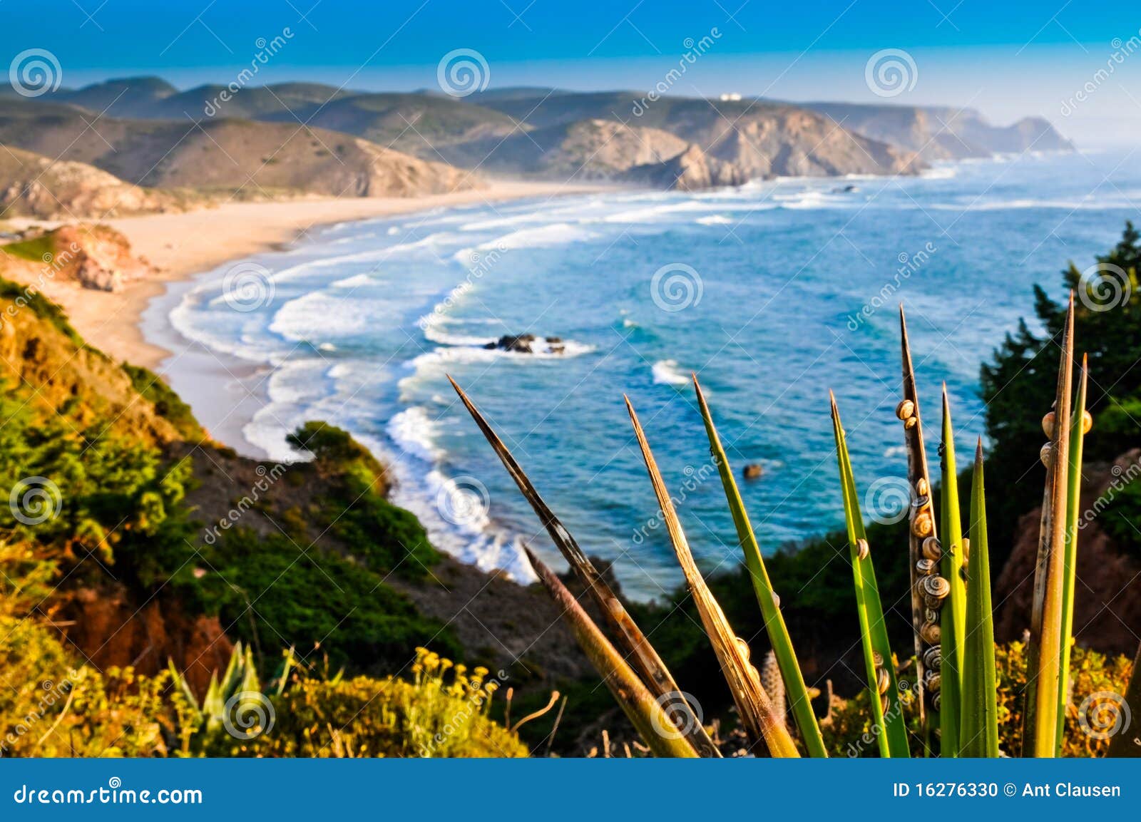 View of Beautiful Coastline from Cliff Stock Photo - Image of plant ...