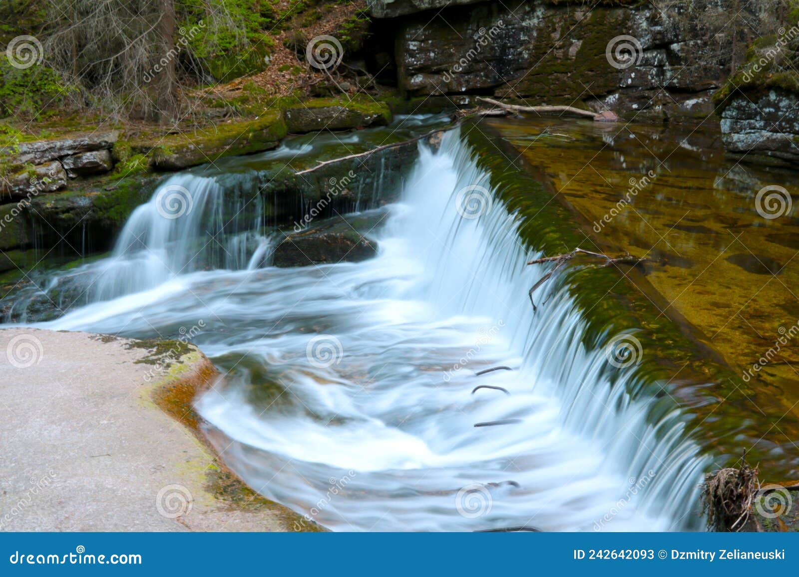 View of the Beautiful Forest River Flowing in the Forest. Stock Image ...