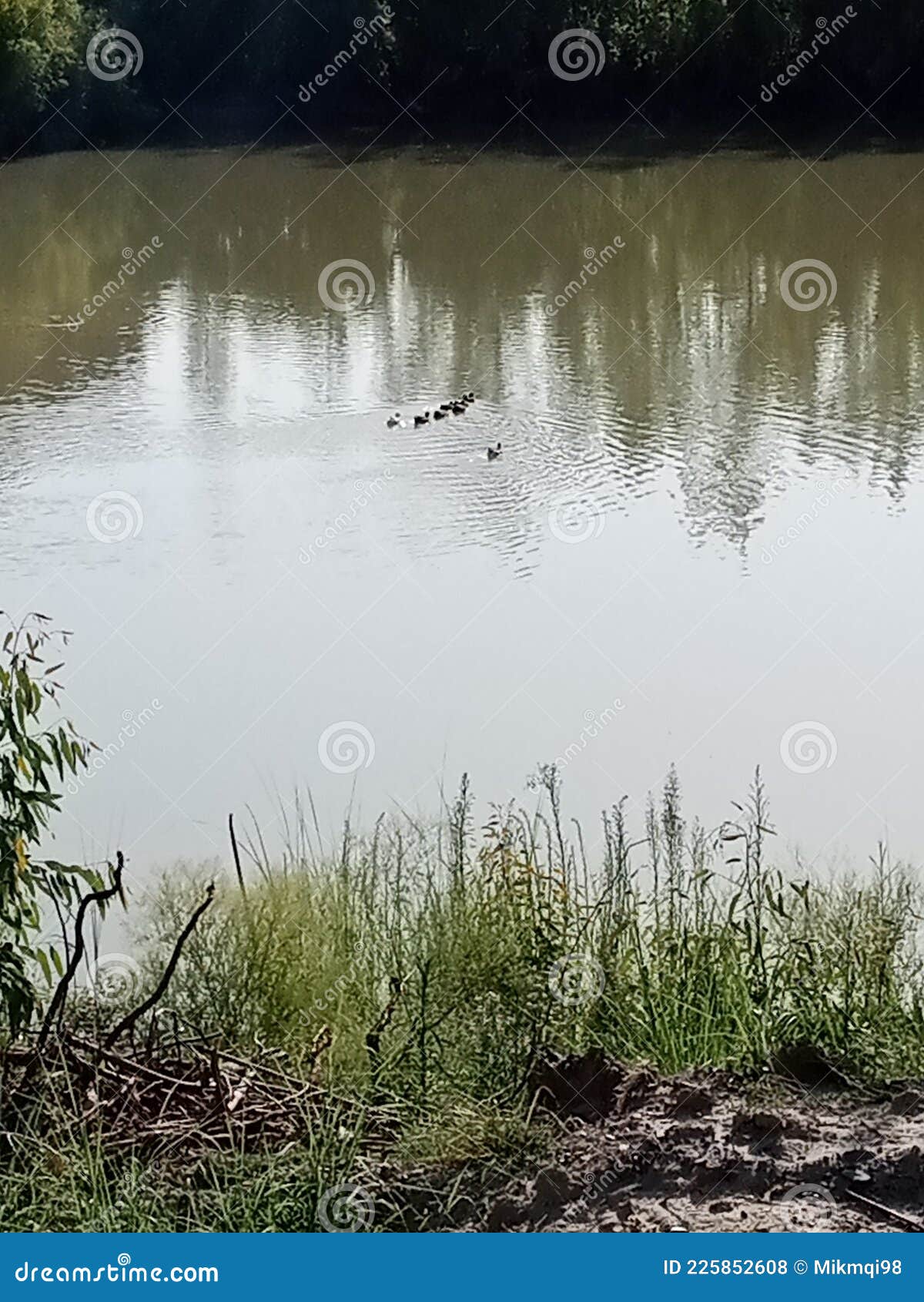 View of a Beautiful River in Pakistan Stock Photo - Image of lake, view ...