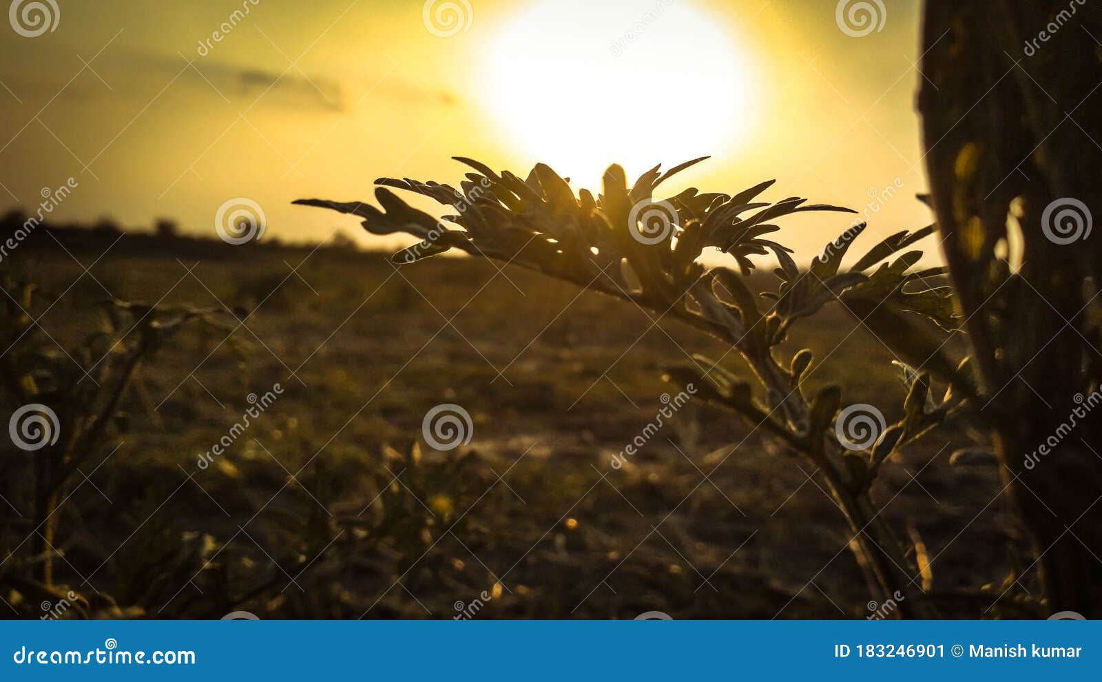 A View of the Beautiful Sight that the Sun Set. Stock Image - Image of ...