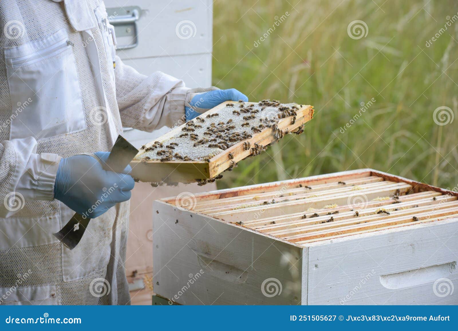 View on a Beekeeper with His Beehive Stock Image - Image of artisan ...