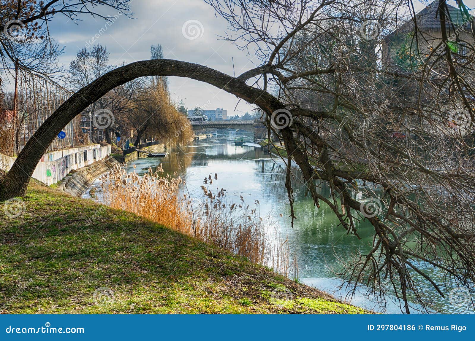 A view of the Bega river stock photo. Image of landmark - 297804186