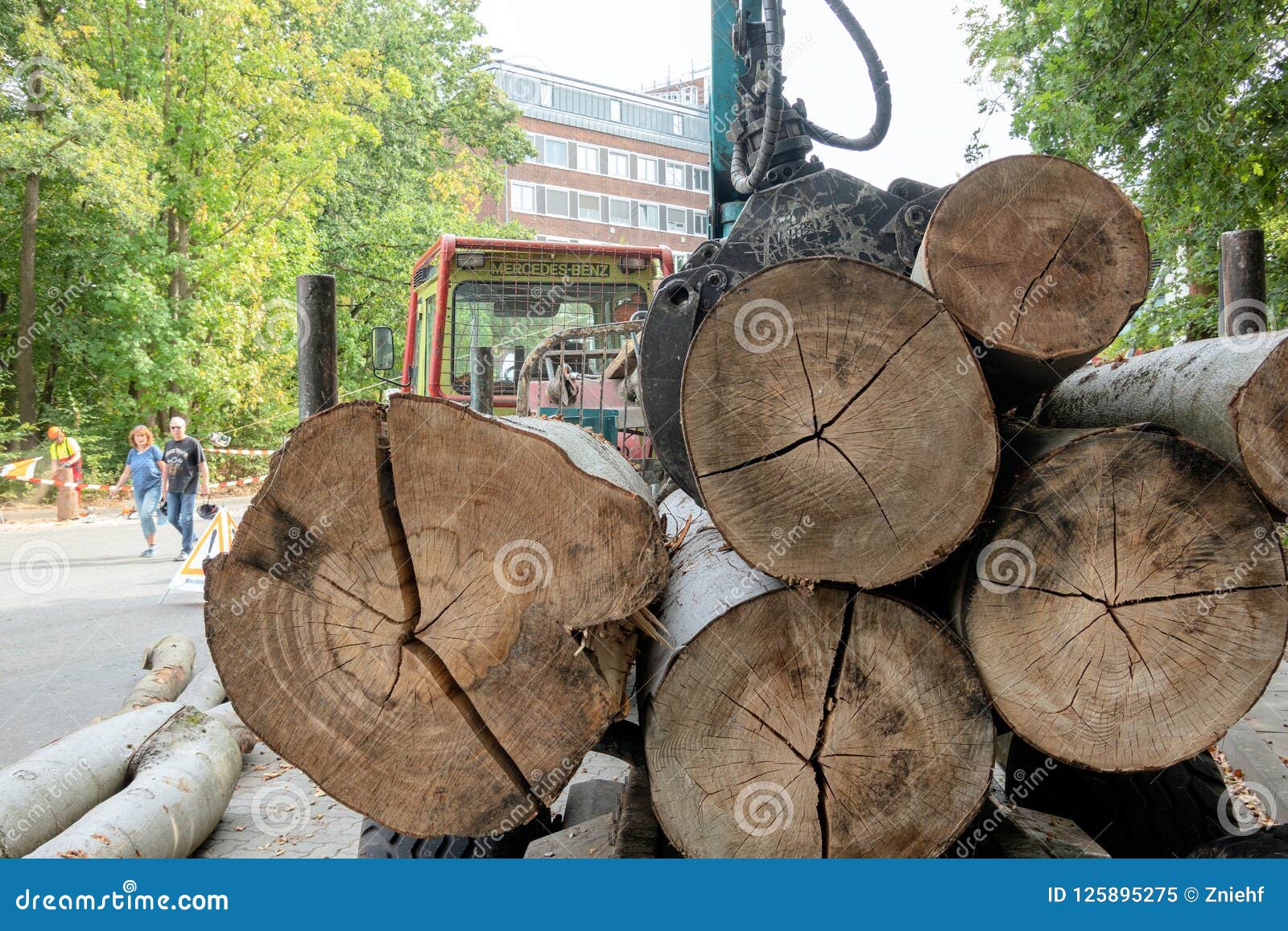 View from Behind of a Pile of Large Logs Loaded on the Loading Area of ...