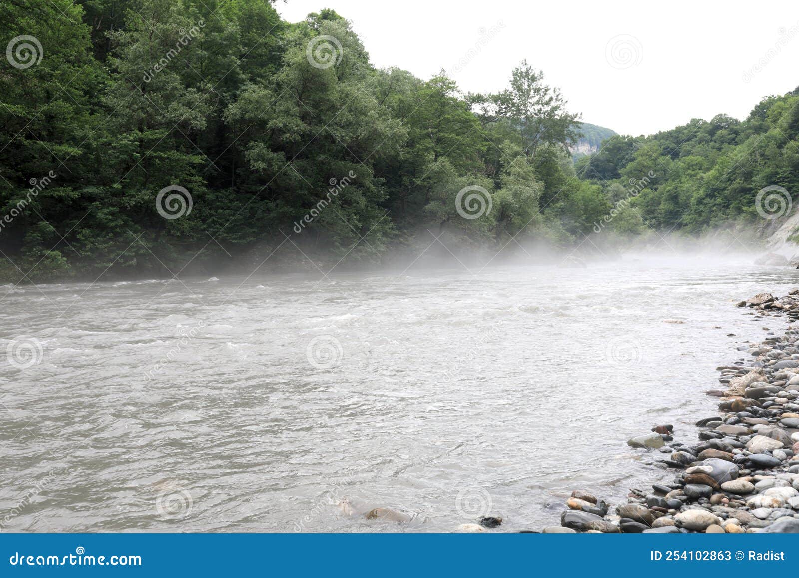 View of Belaya River in Summer Stock Image - Image of plant, adygea ...