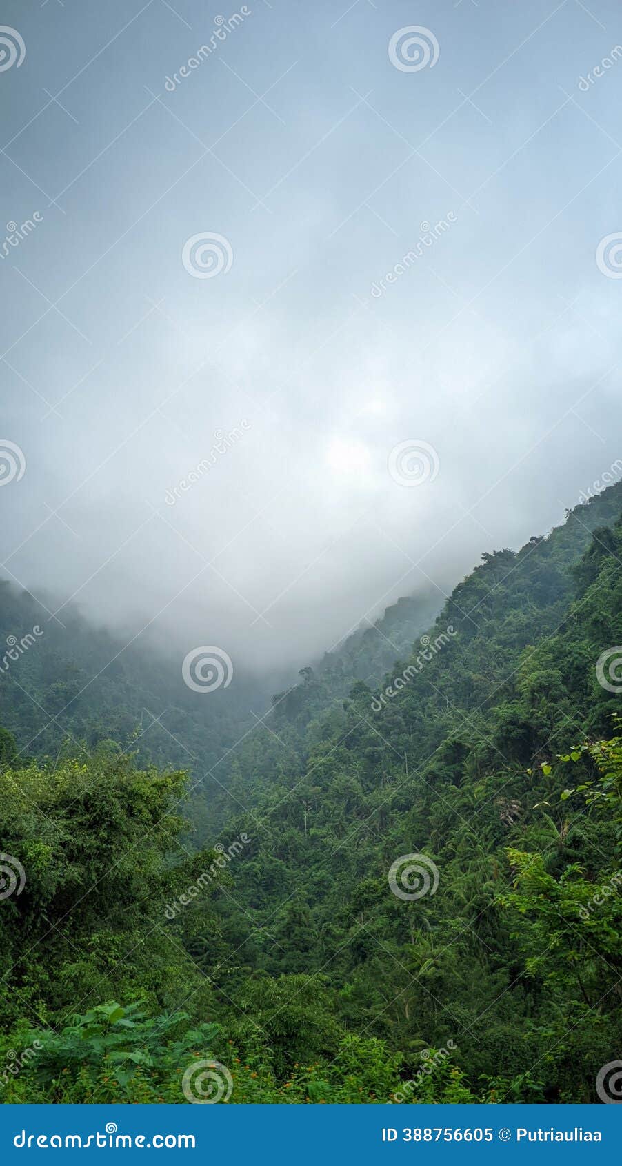 The View Below Of Twin Tower Royalty-Free Stock Photography ...