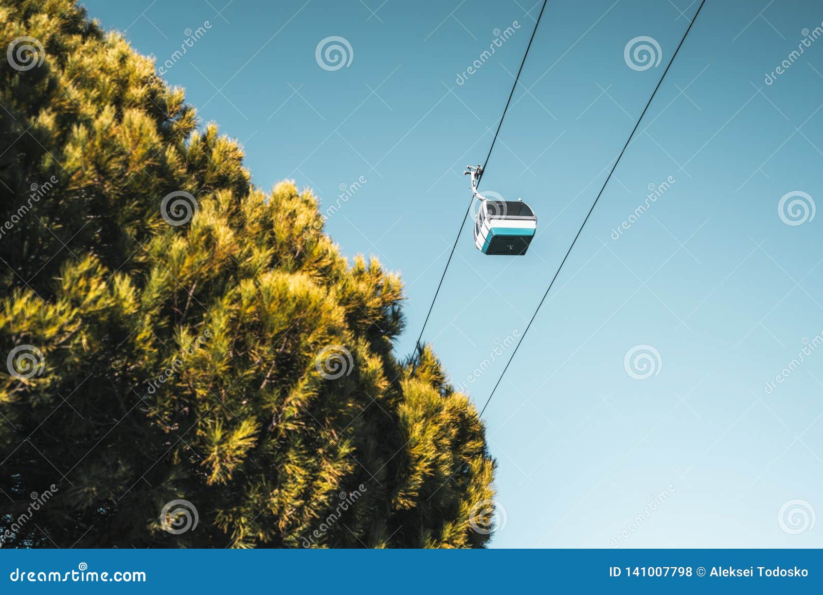 View from Below on a Ropeway Cabin Stock Photo - Image of conifer ...