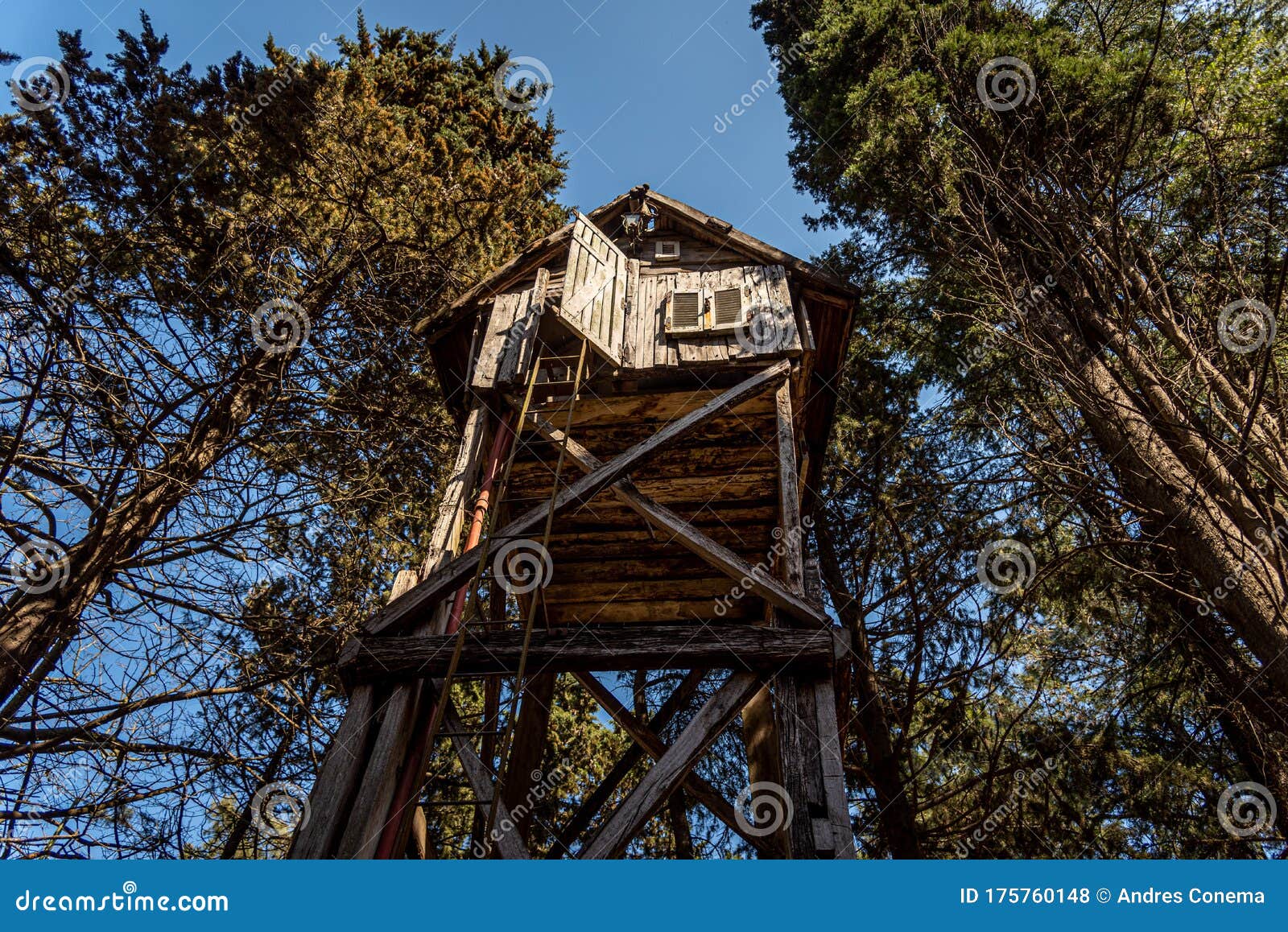 View from Below of a Typical Wooden Treehouse Inside a Forest in a ...