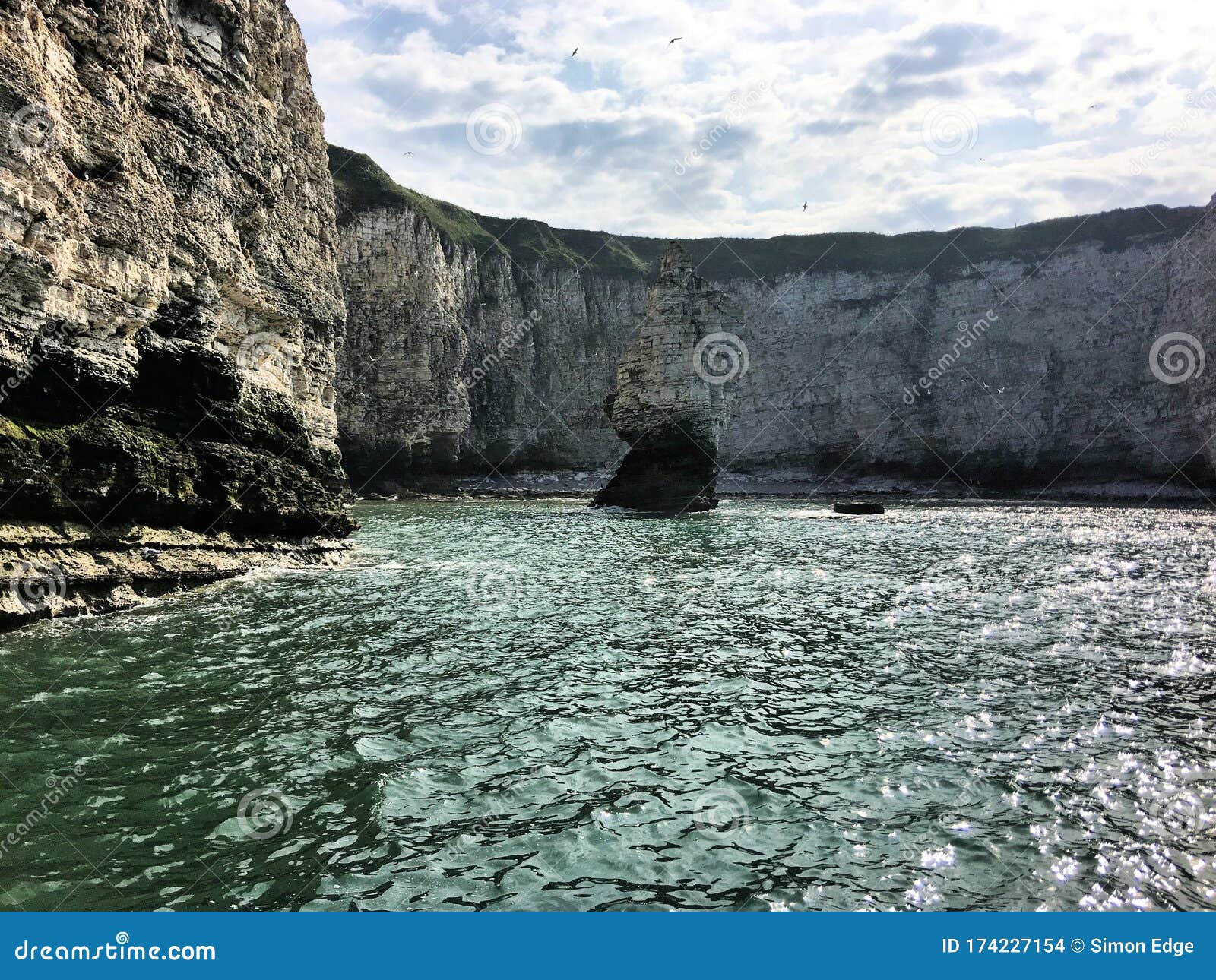 A View of the Bempton Cliffs Stock Photo - Image of bempton ...