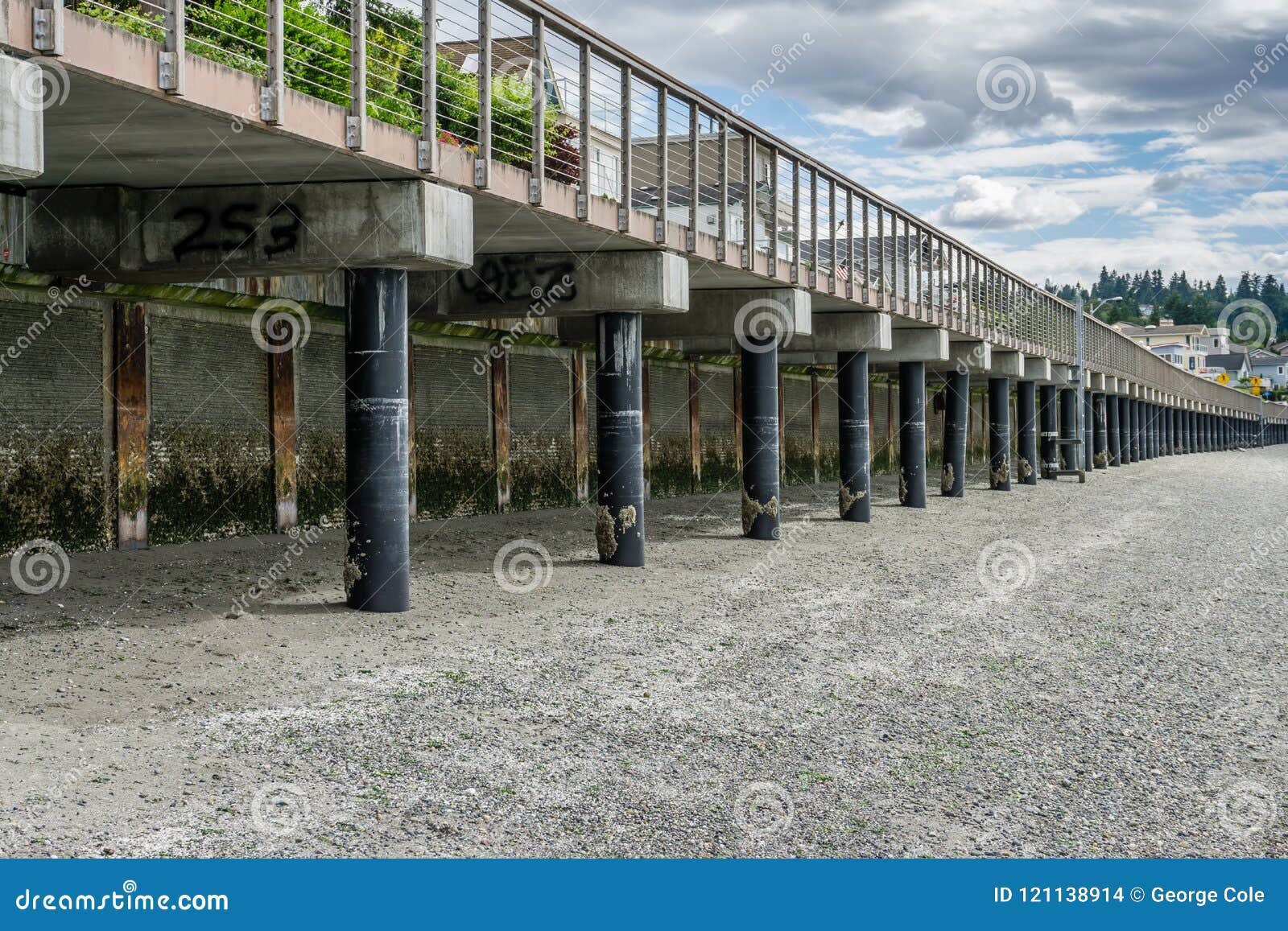 Under the Boardwalk stock photo. Image of shoreline - 121138914