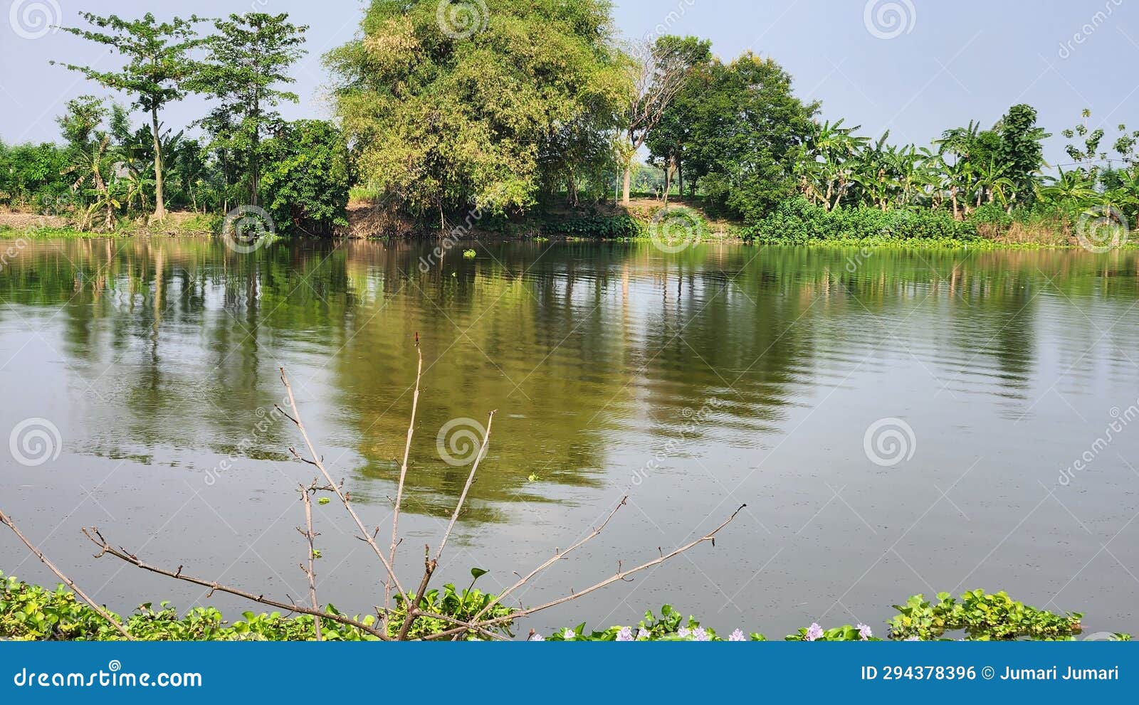 View of the Bengawan Solo River Stock Photo - Image of water, reservoir ...