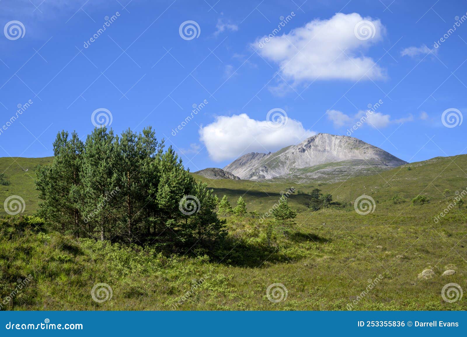 Beinn Eighe, Achnasheen and Trees Stock Photo - Image of foreground ...