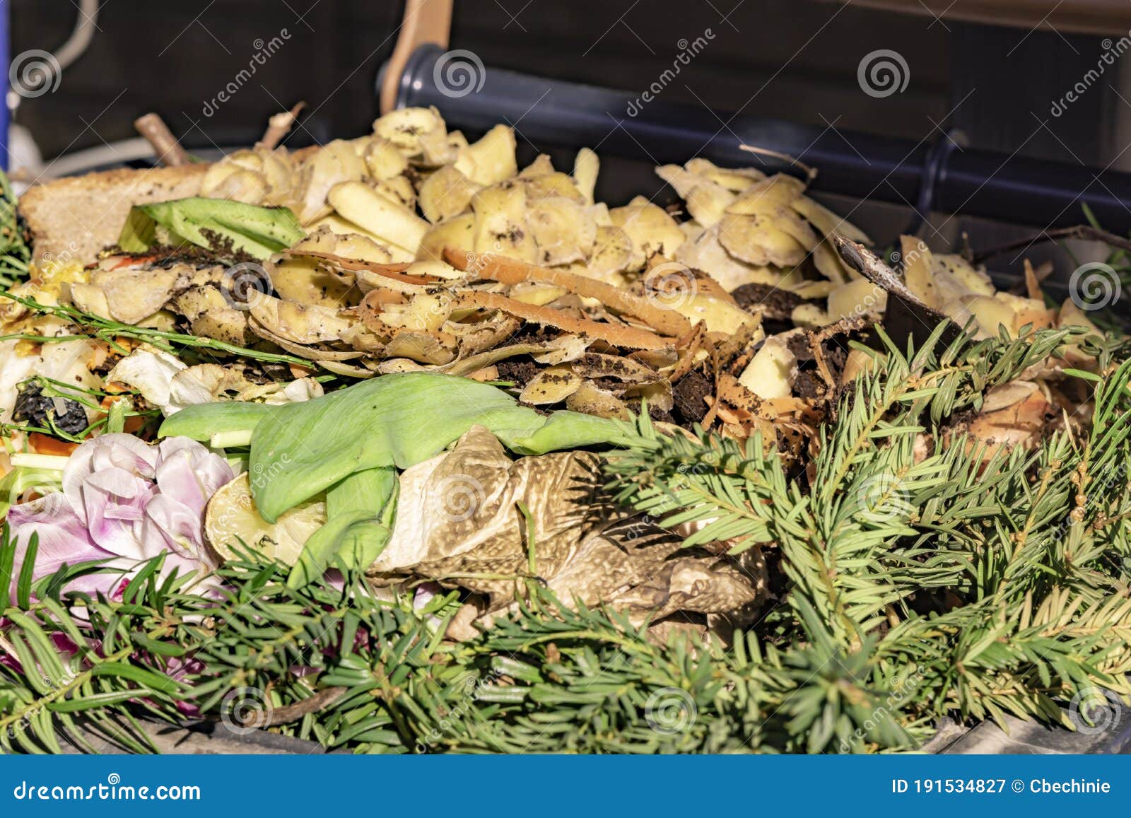 View into a Bio Container with Various Organic Wastes Stock Image ...