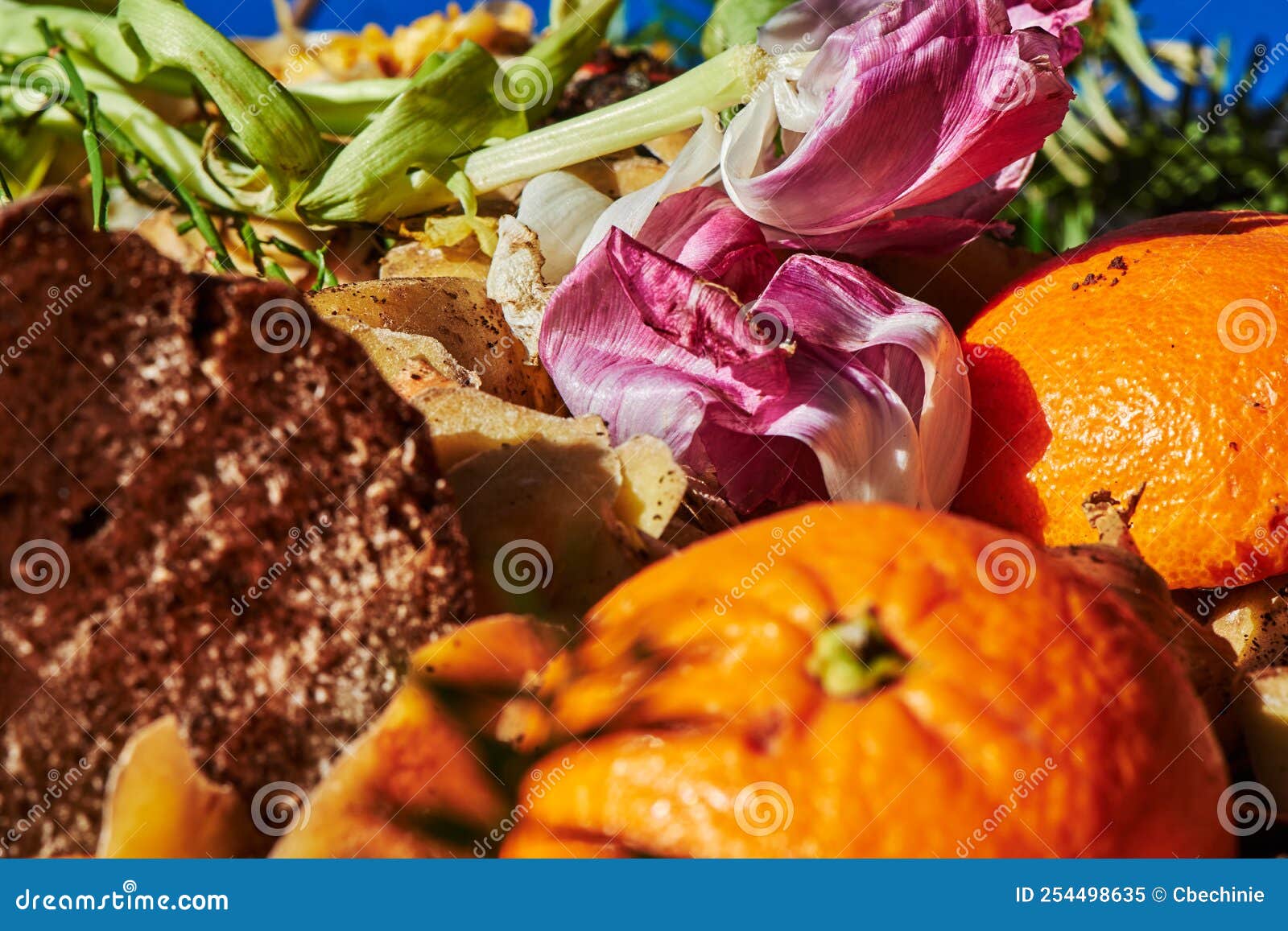 Bio Container with Various Organic Wastes for Recycling Stock Image ...