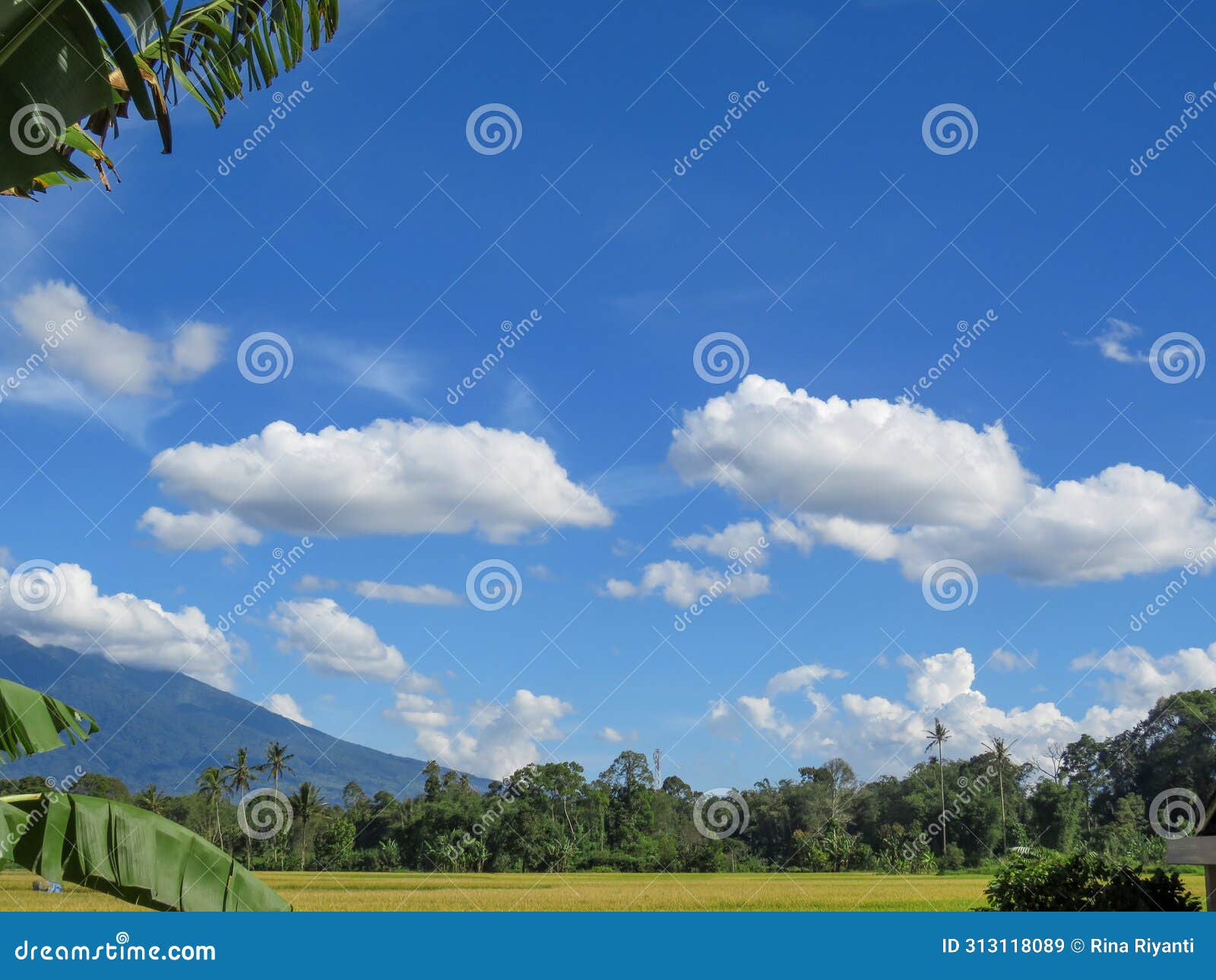View of Blue Sky and Clouds in a Rural Area. Stock Image - Image of ...