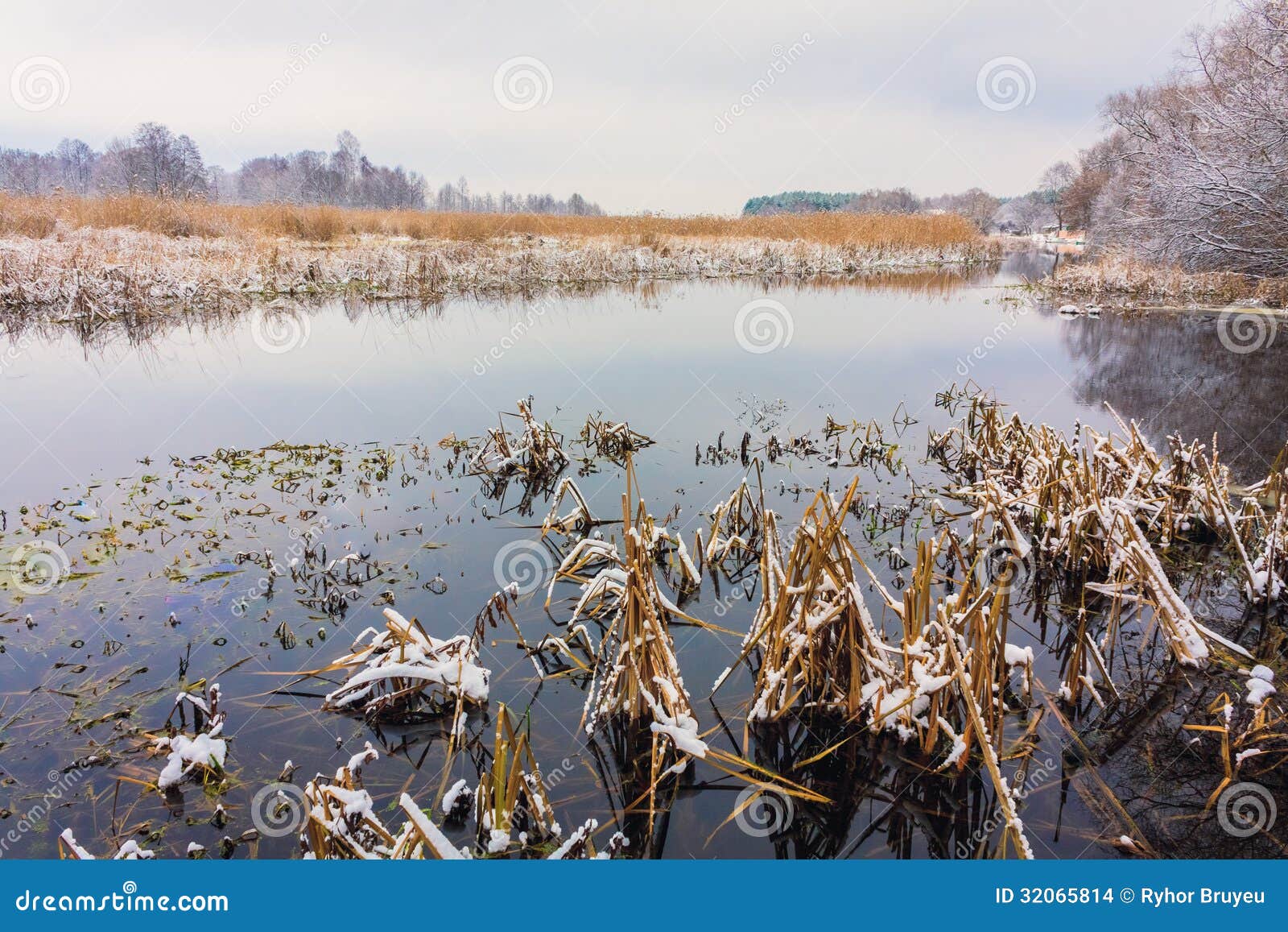 View on the Bog. Grass and Water. Stock Photo - Image of autumn ...