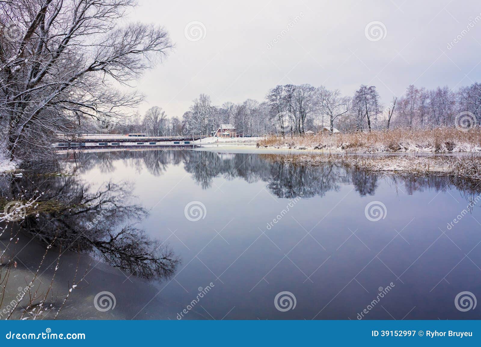View on the Bog. Grass and Water. Stock Image - Image of peace, calm ...