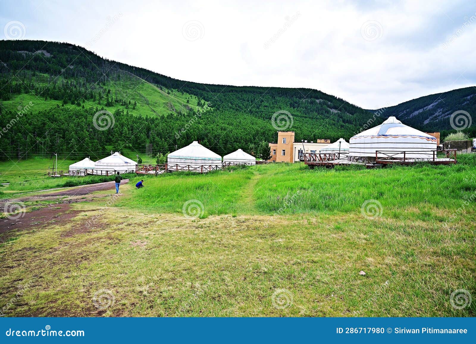 View of Bogd Khan Mountain National Park , Ulaanbaatar , Mongolia Stock ...