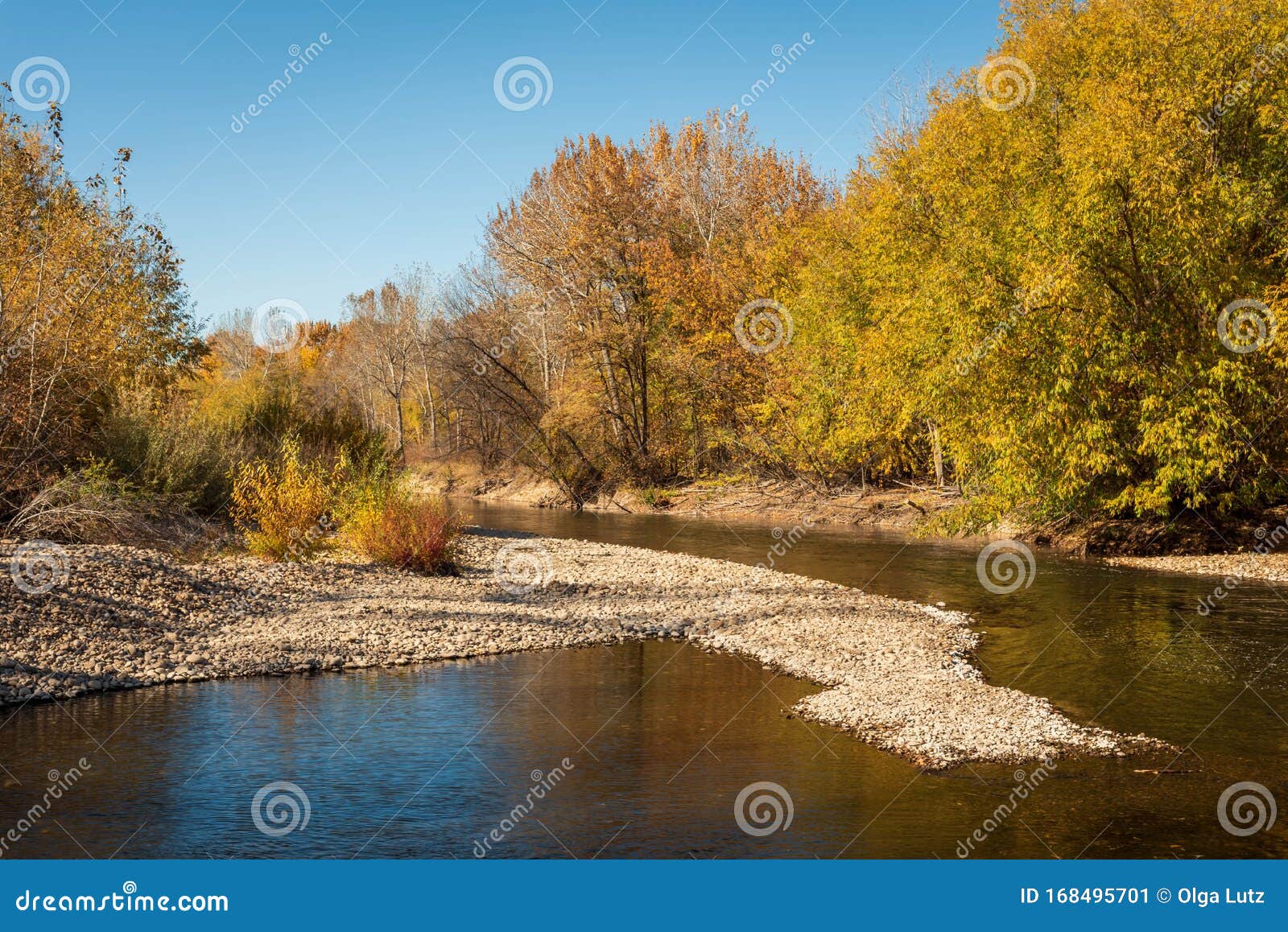 A View of the Boise River in Idaho in the Fall Stock Image - Image of ...