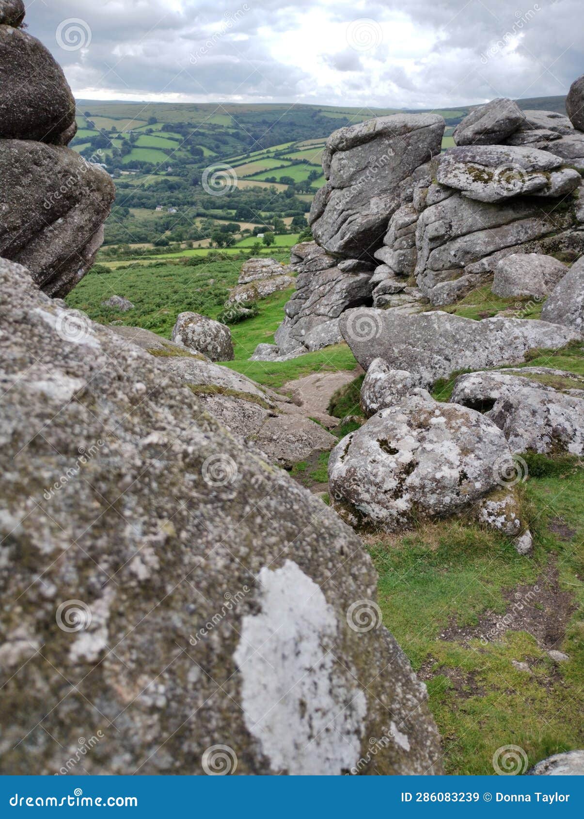 Bonehill Rocks Dartmoor Devon Stock Image - Image of devon, rocks ...