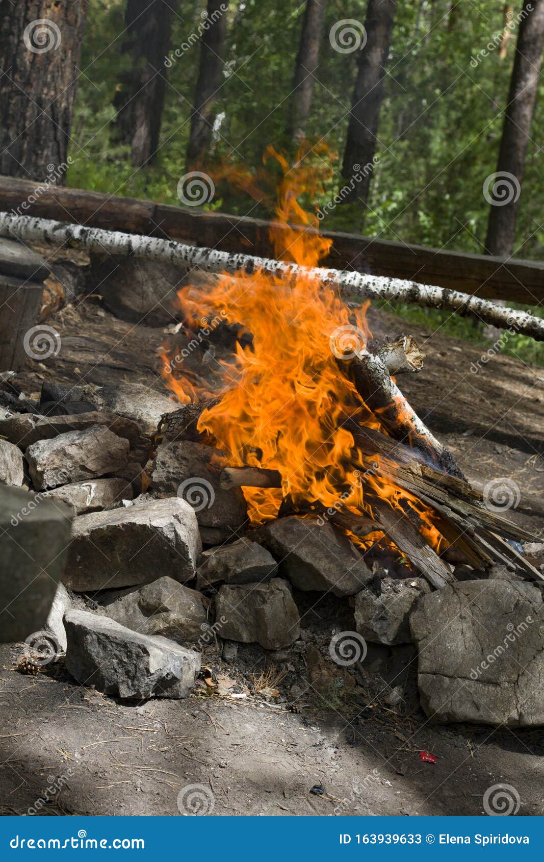 View of a Bonfire Burning in Bright Fire in the Forest Near a Makeshift ...