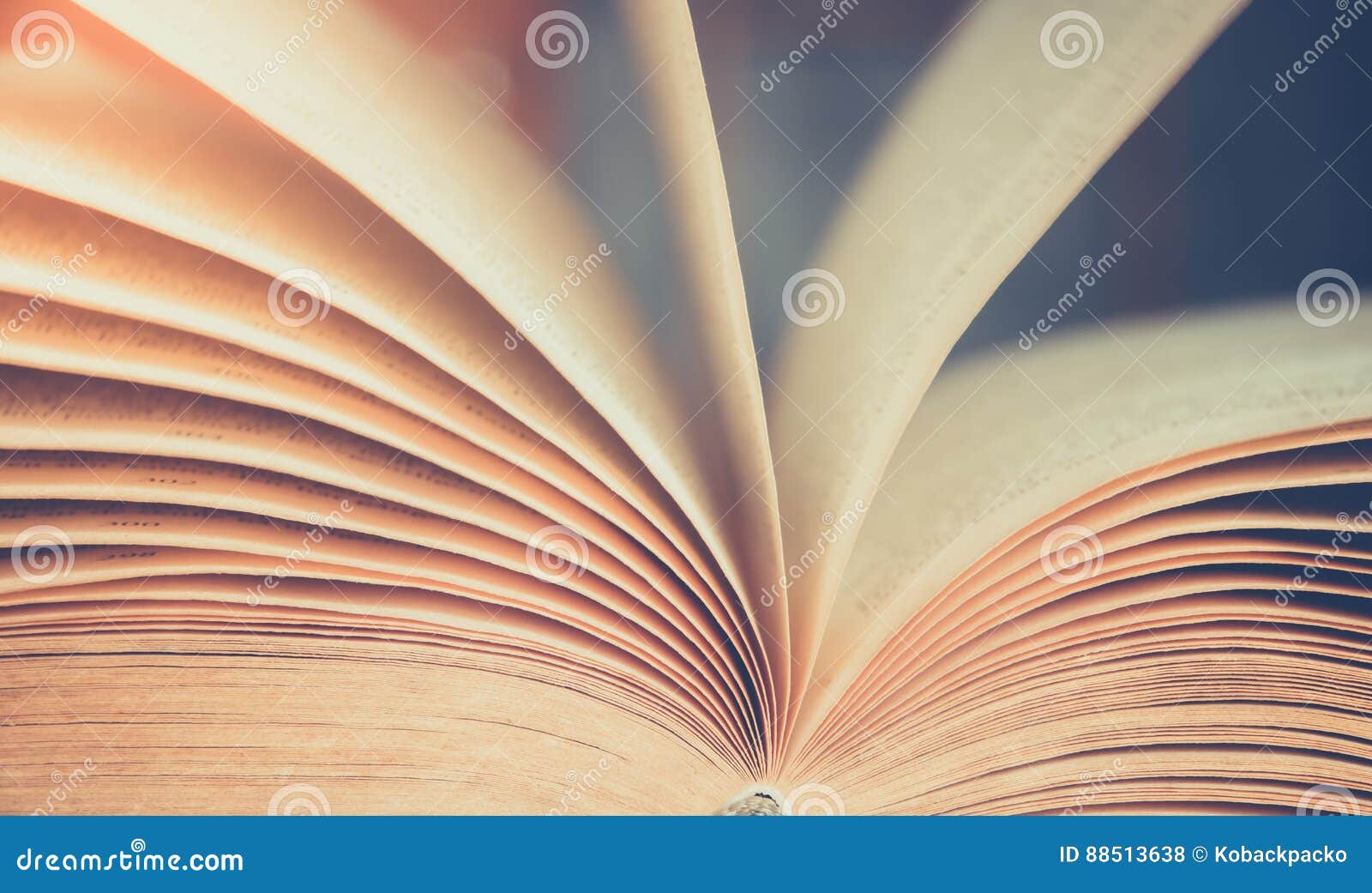 View of book pages stock photo. Image of color, elegant - 88513638