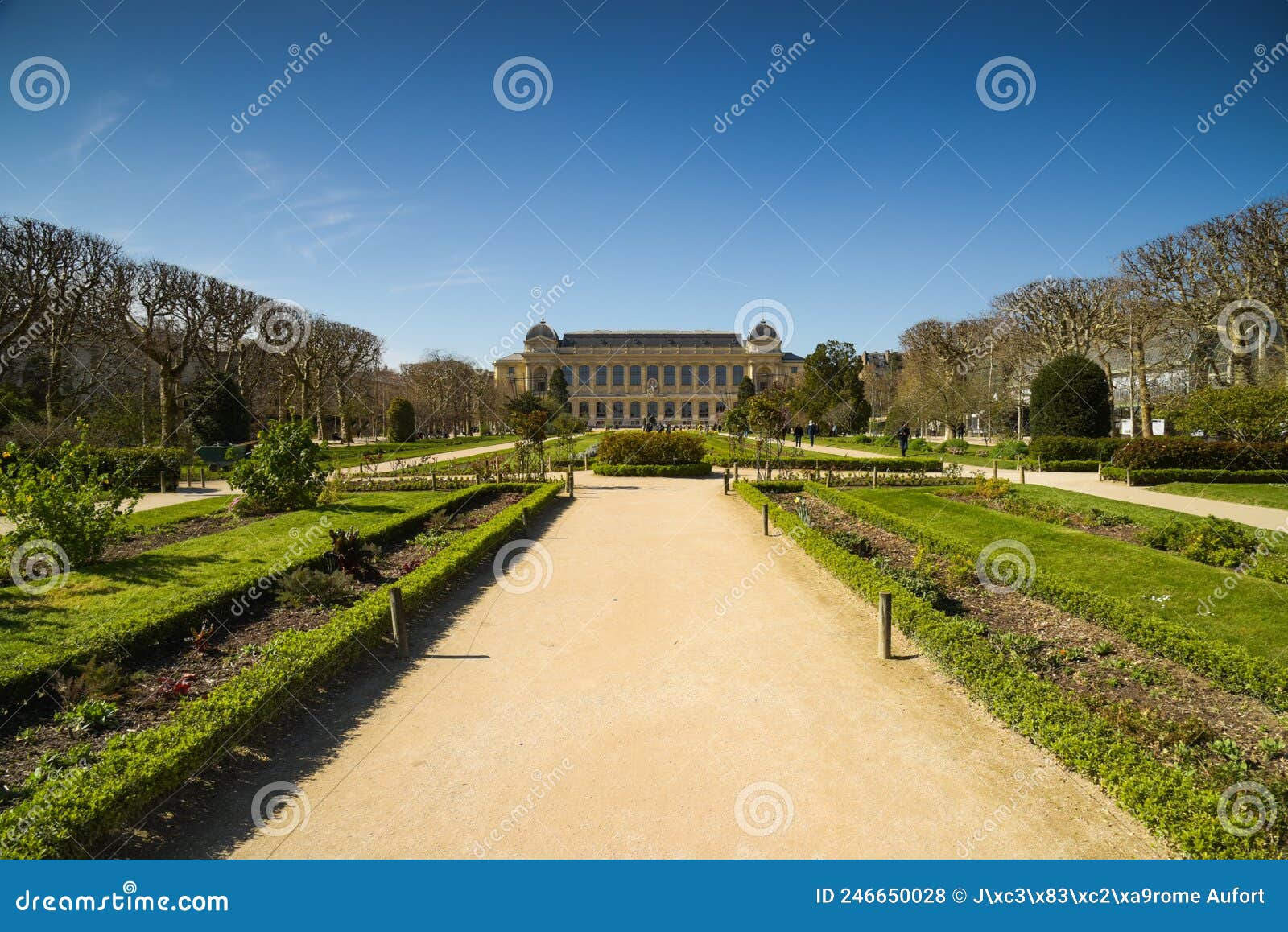 View of the Botanical Garden in Paris Stock Photo - Image of plant ...