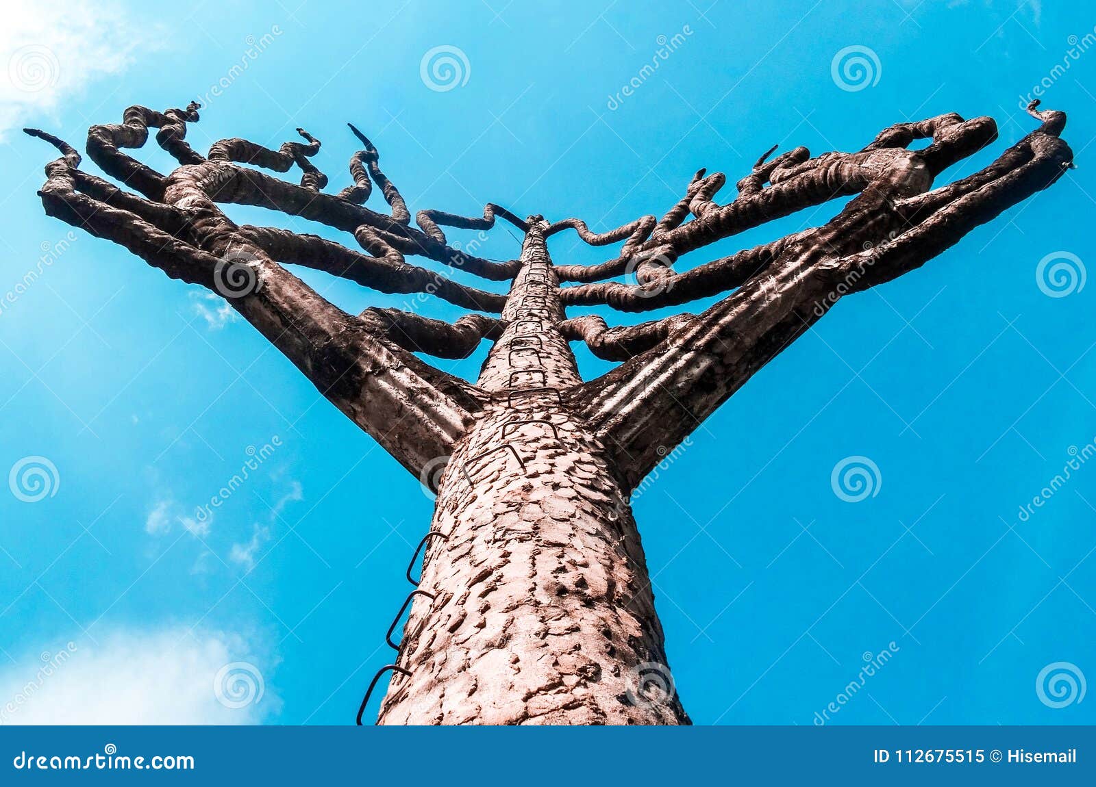 A concrete tree with steps stock image. Image of concrete - 112675515