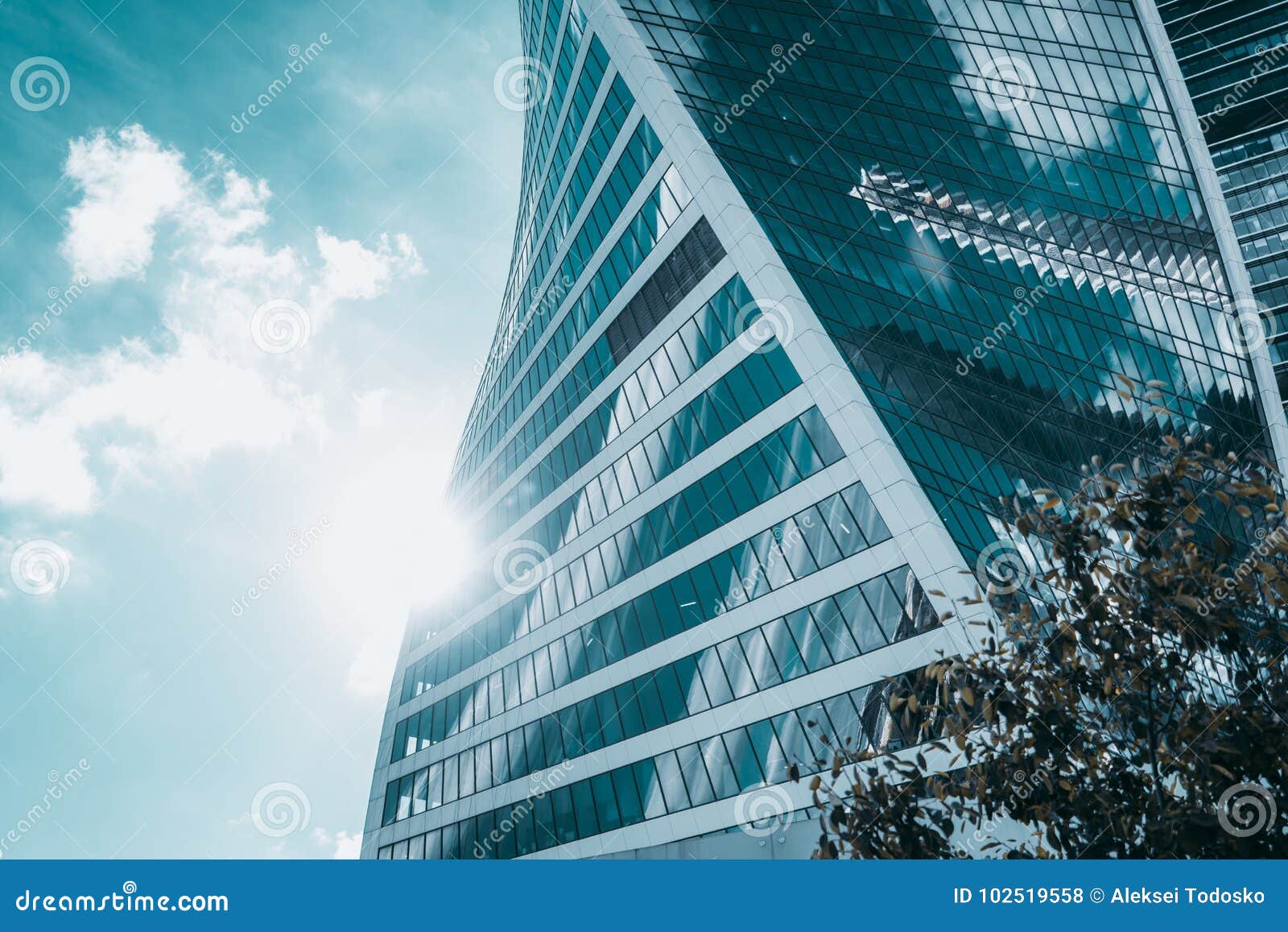 View from Bottom of Modern Skyscraper Stock Photo - Image of glass ...