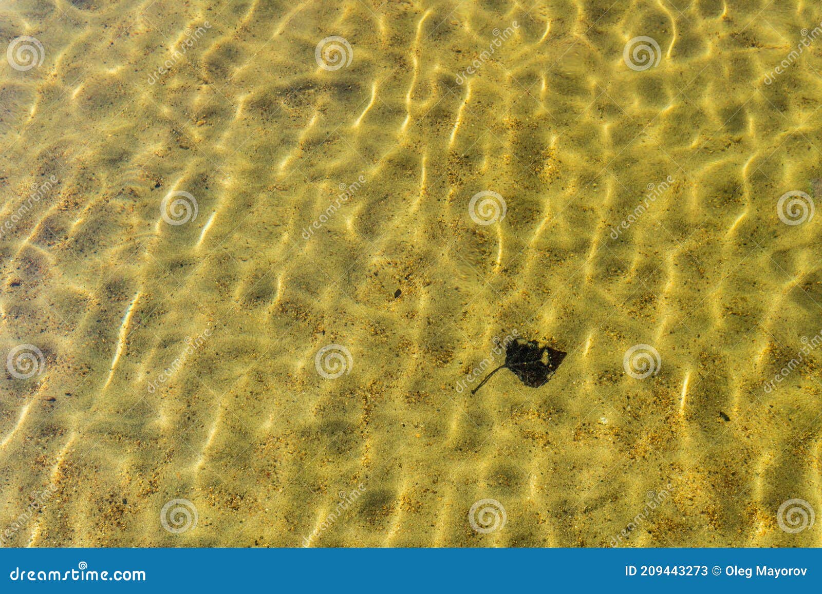 View of the Bottom of the Lake through Clear Water Rocks and Sand ...