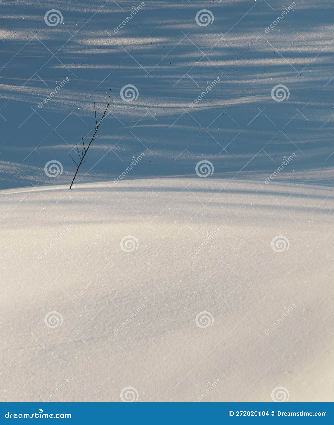 View of a Branch on Snow with Wavy Shadows in Background Stock Photo ...