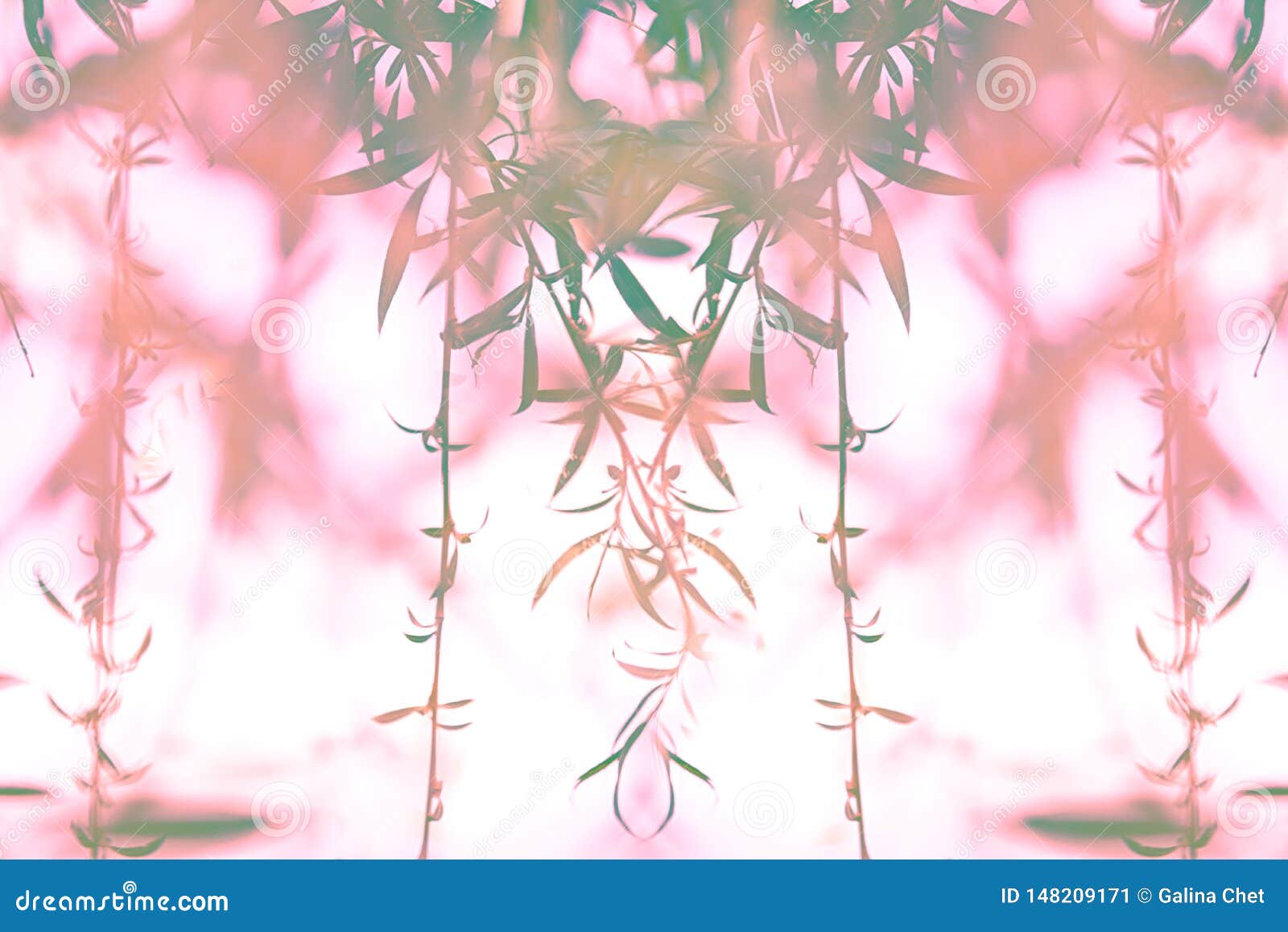 Solar Pink Fill Stock Photos - Free & Royalty-Free Stock Photos from ...