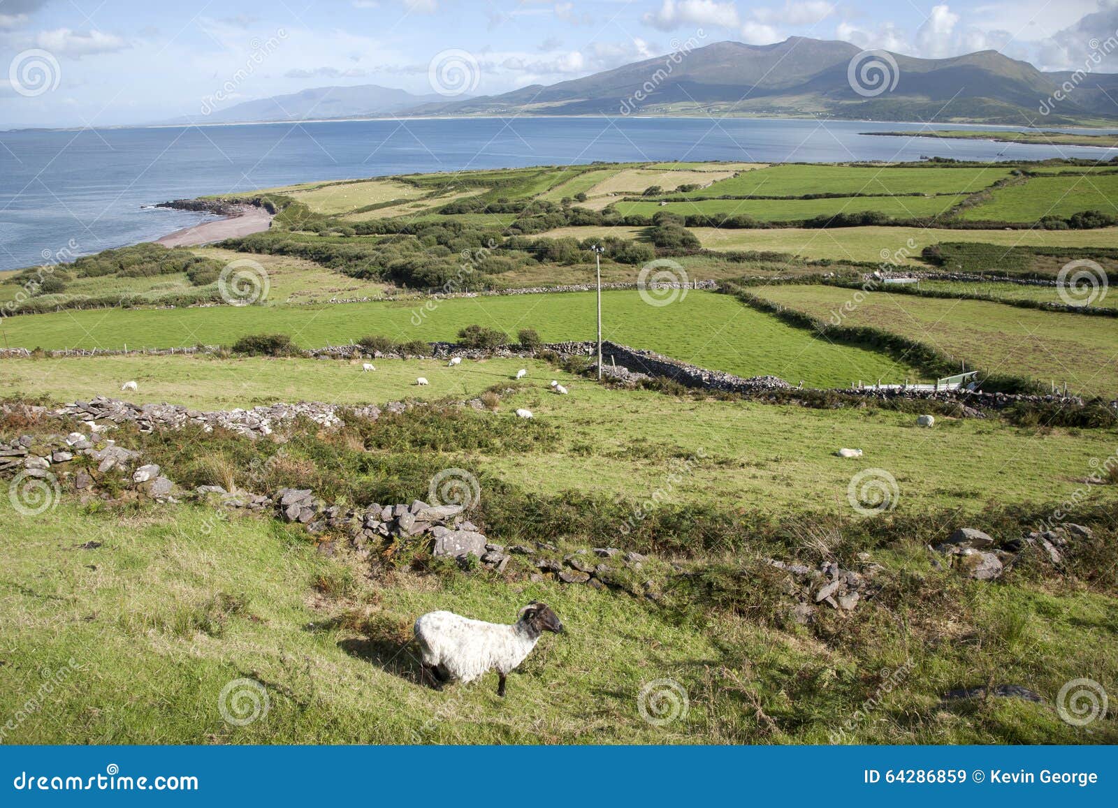 View from Brandon Point, Dingle Peninsula Stock Image - Image of point ...