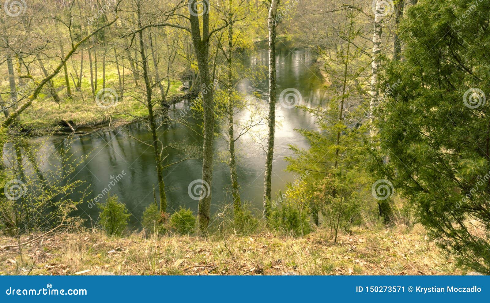 View of the Brda river stock image. Image of view, nature - 150273571