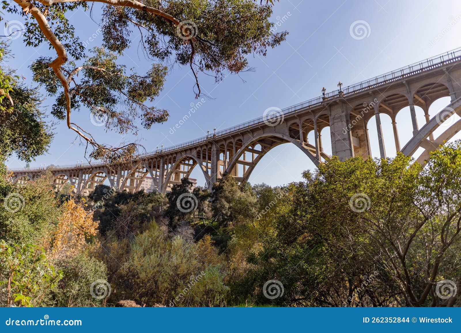 View of a Bridge and Autumn Trees in Matanzas, Cuba Stock Photo - Image ...