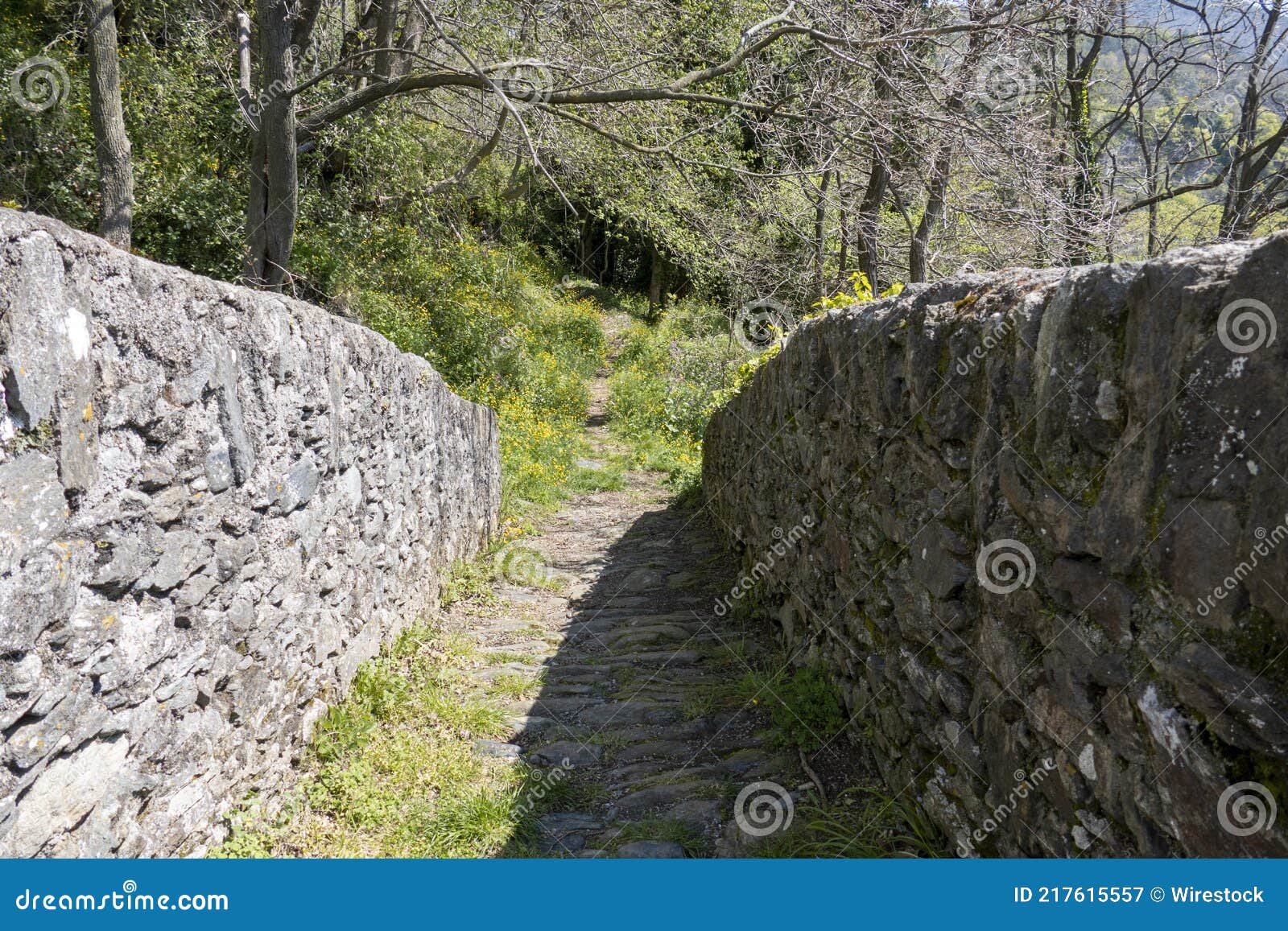 View from a Bridge with Cobblestone Walls on Its Sides and Trees in ...