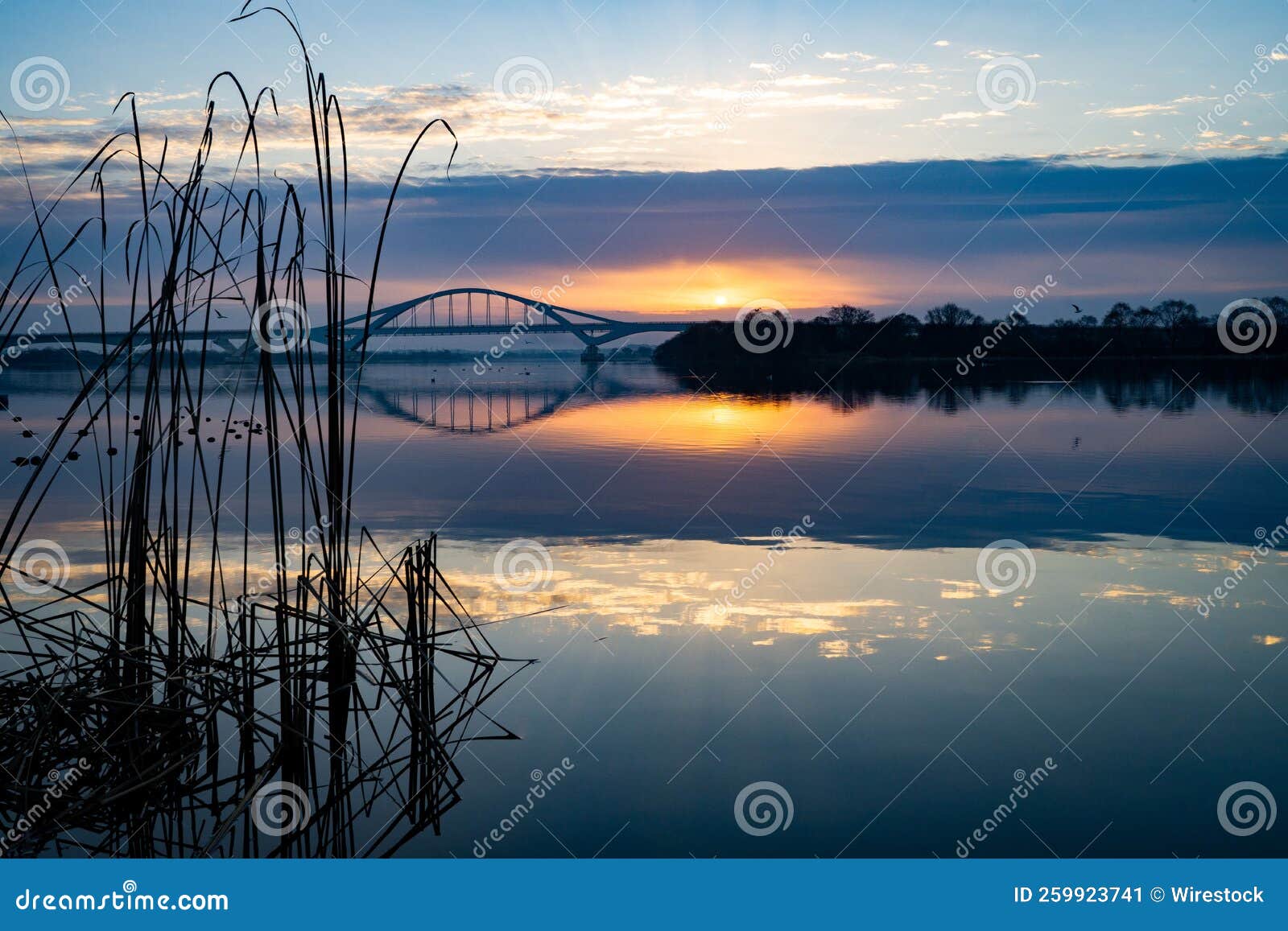 View of a Bridge Connecting the Coasts and Reflecting on the River at ...