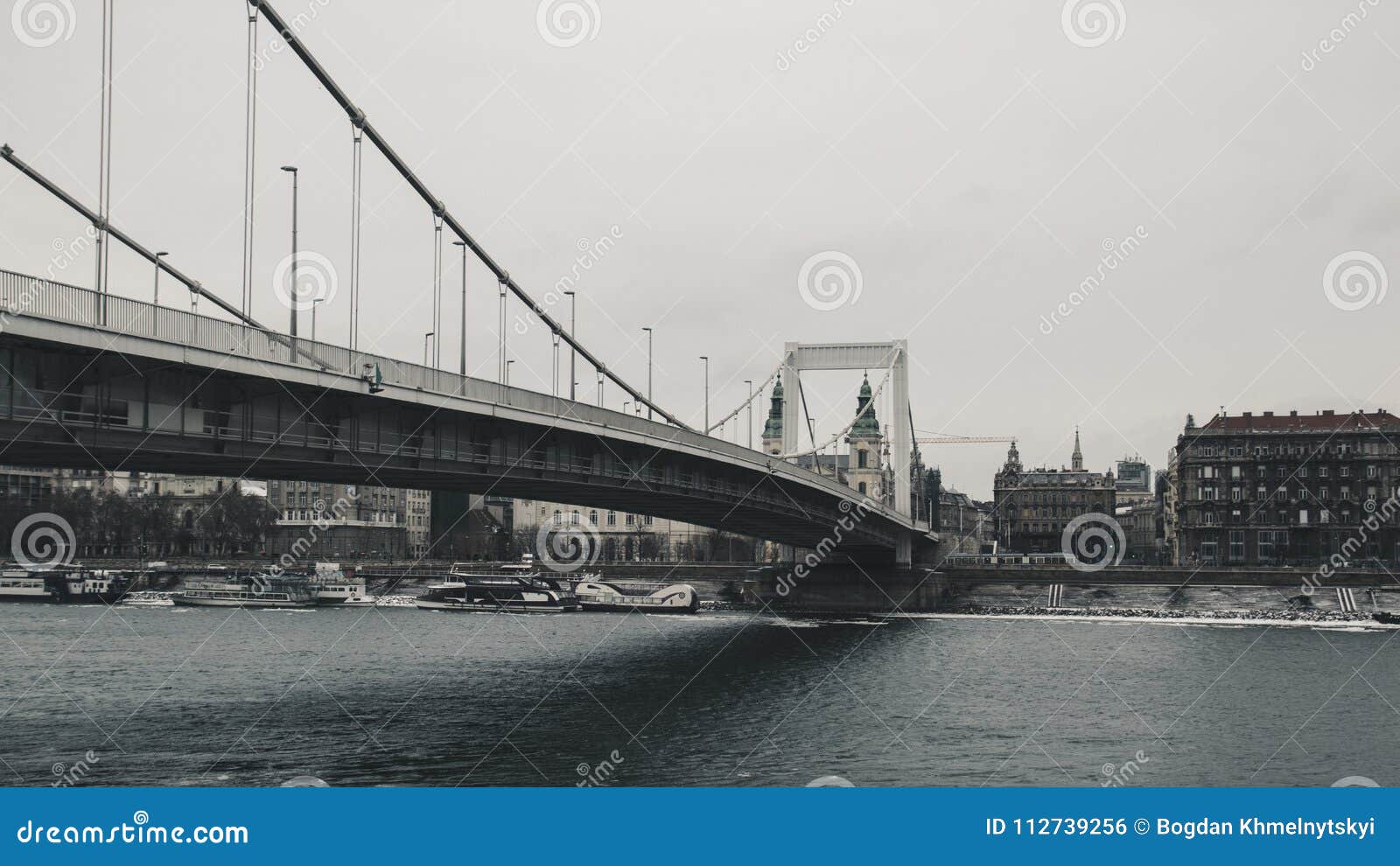 View of the Bridge Over the Danube River in Budapest, in the Background ... View of the Bridge Over the Danube River in Budapest, in the Background ...