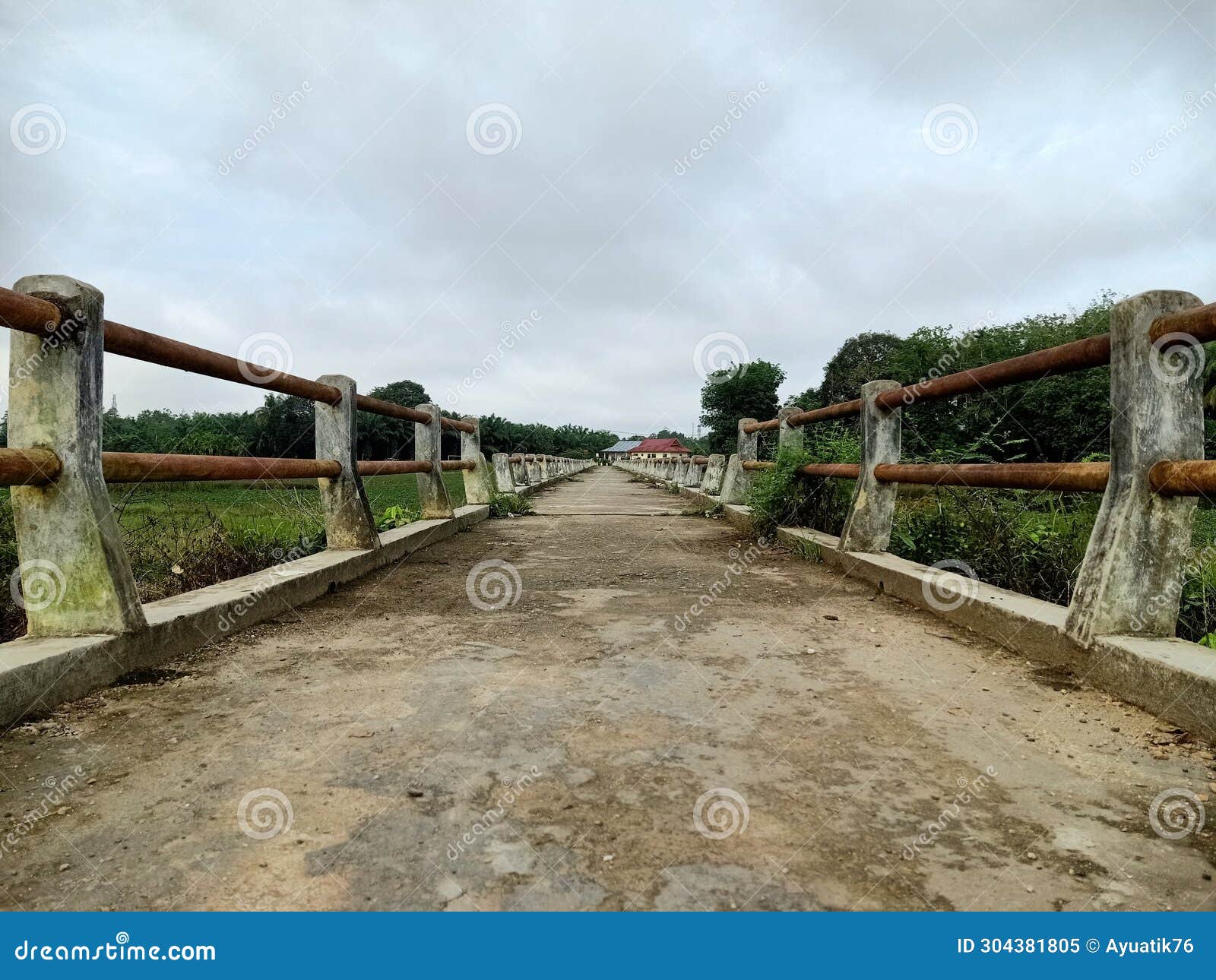 View of Bridge with Railings Stock Image - Image of fence, vegetation ...