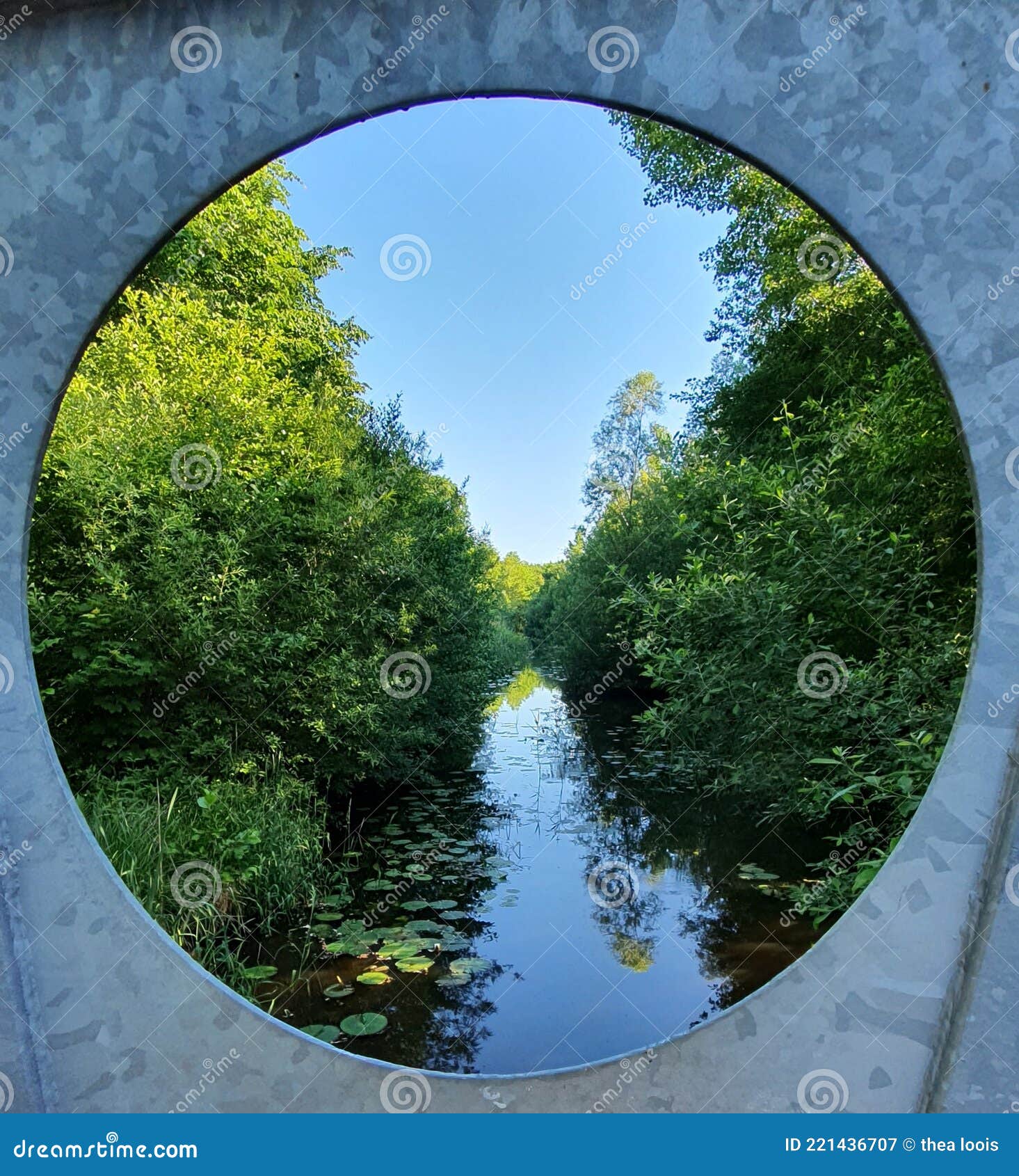 View from a bridge stock image. Image of flower, grass - 221436707