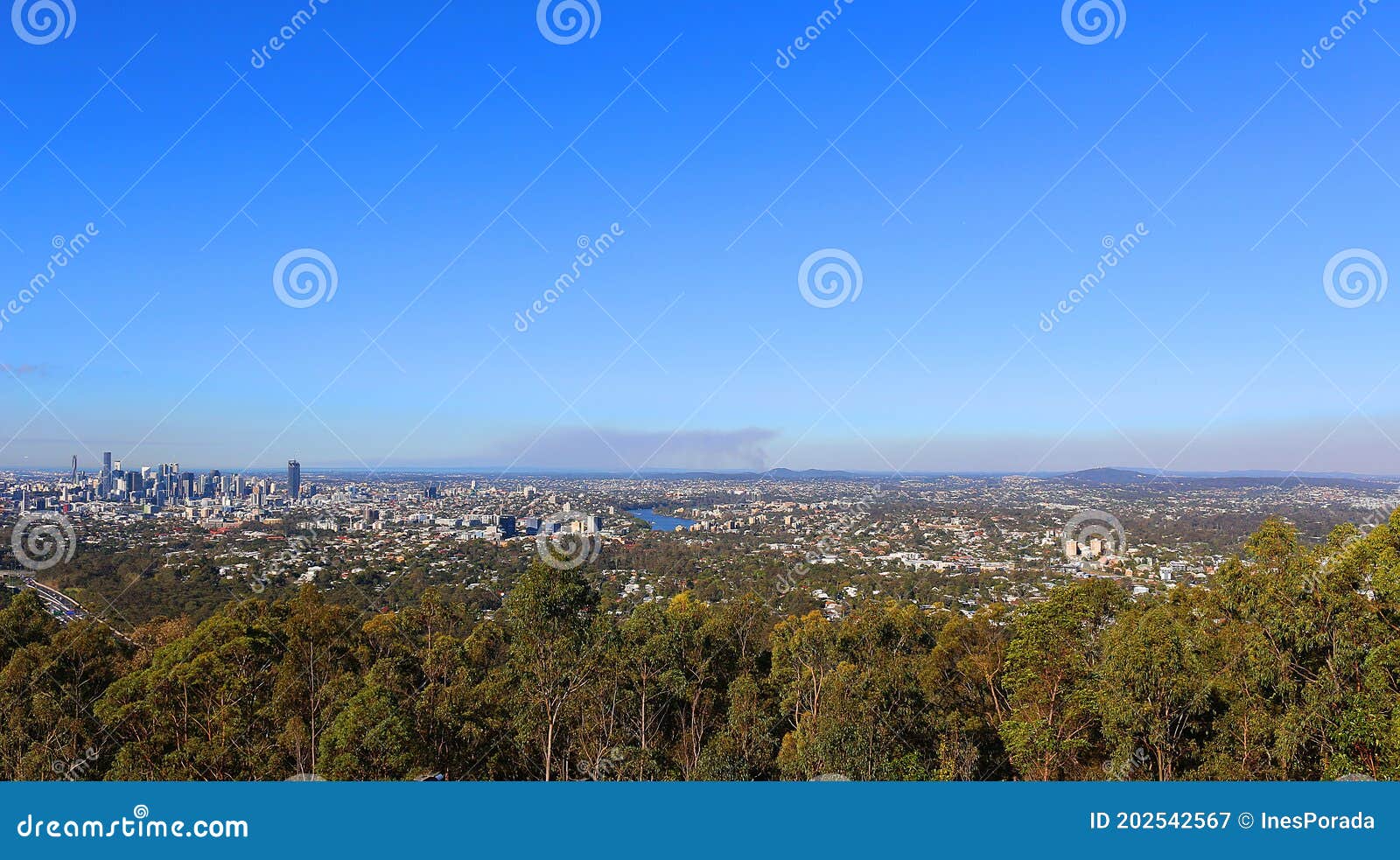 View at Brisbane from Mount Coot-tha Queensland, Australia Stock Image ...