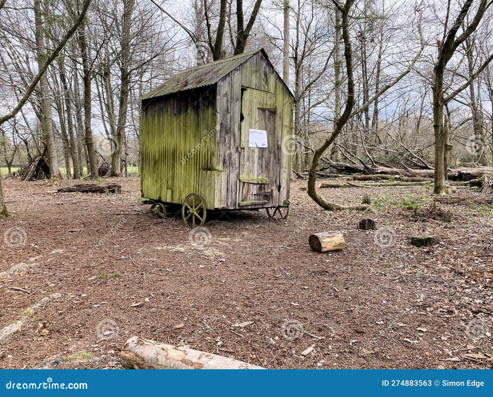 A View of Brown Moss Nature Reserve Stock Image - Image of brown, water ...