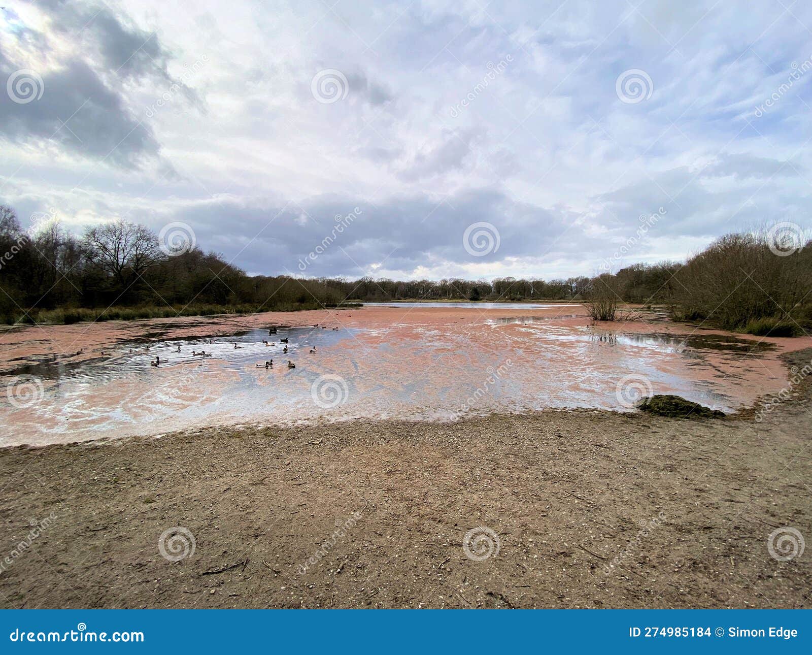 A View of Brown Moss Nature Reserve Stock Photo - Image of reflection ...