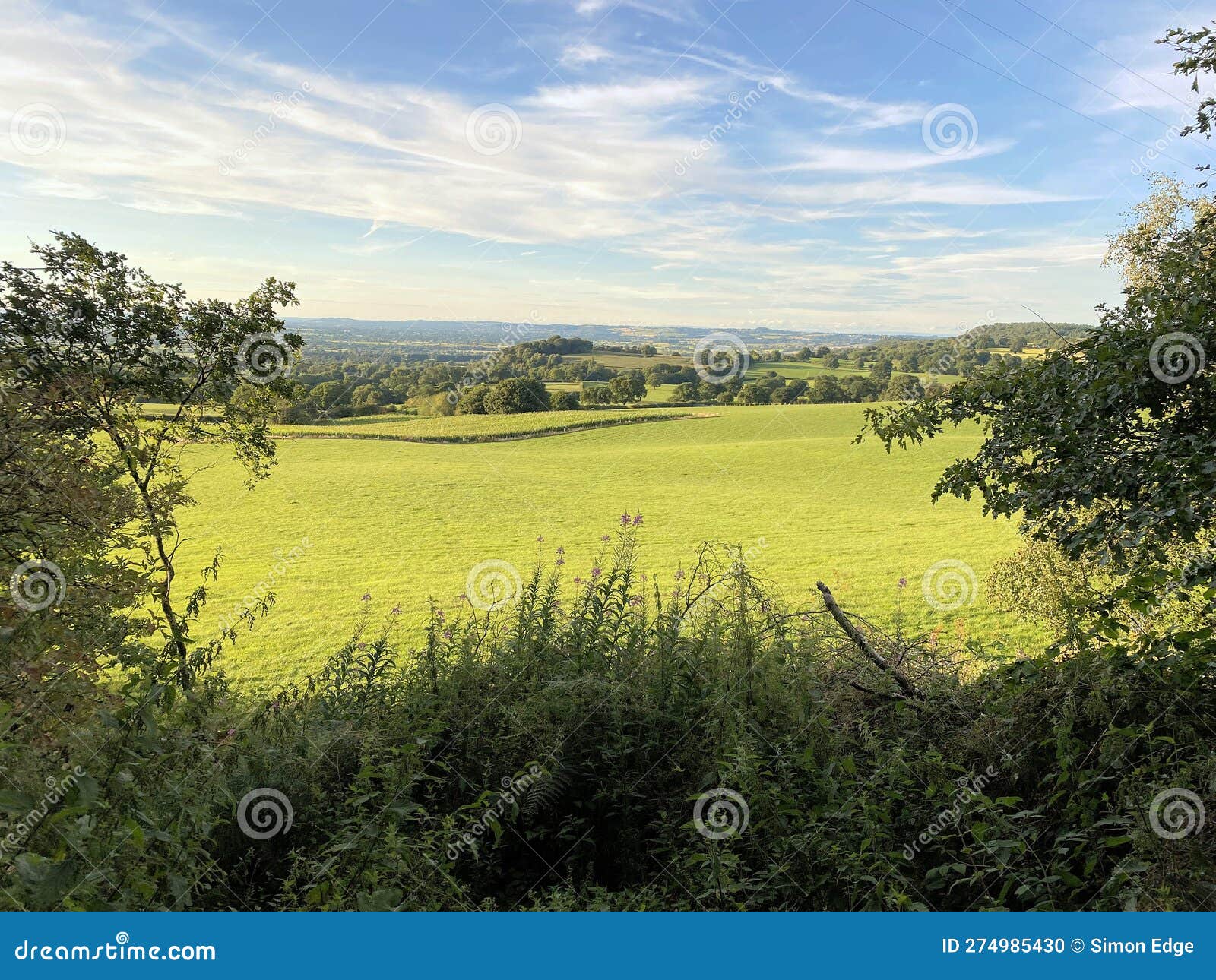 A View of Brown Moss Nature Reserve Stock Photo - Image of nature ...