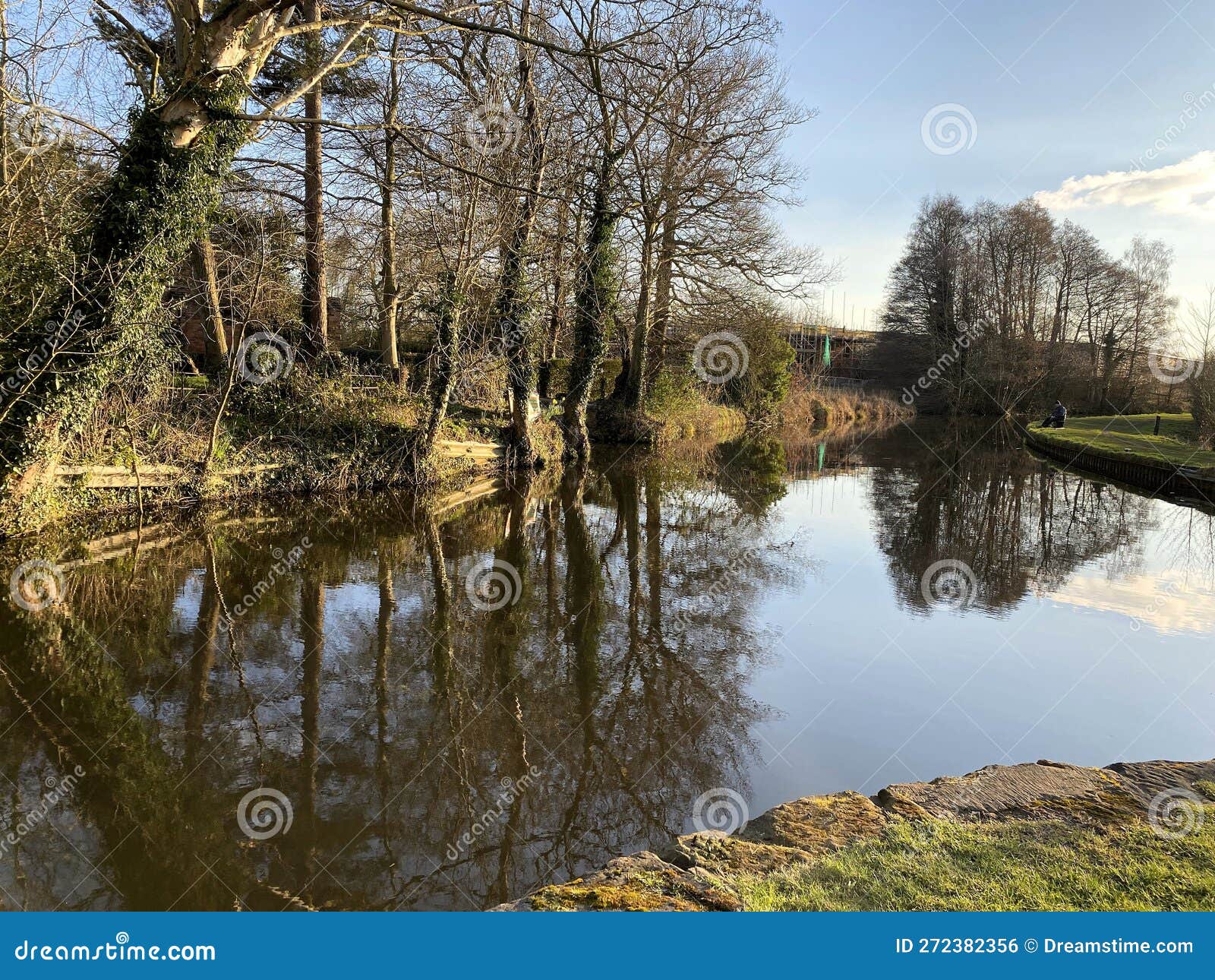 A View of Brown Moss Nature Reserve Stock Photo - Image of trees ...