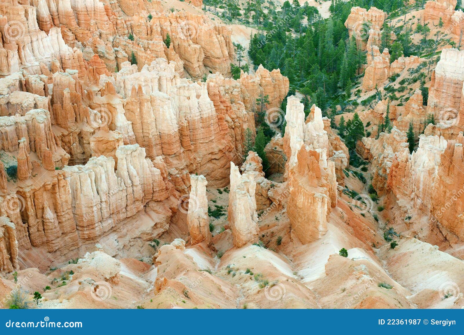View in the Bryce Canyon stock image. Image of green - 22361987