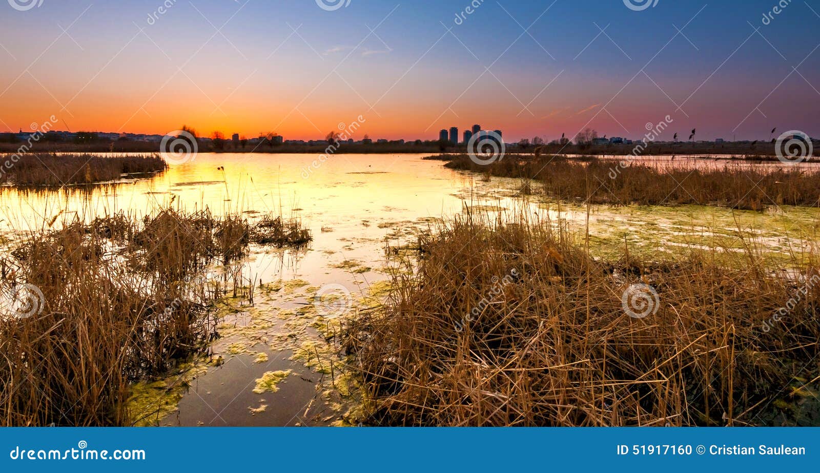 View of Bucharest from Vacaresti Delta Stock Photo - Image of color ...